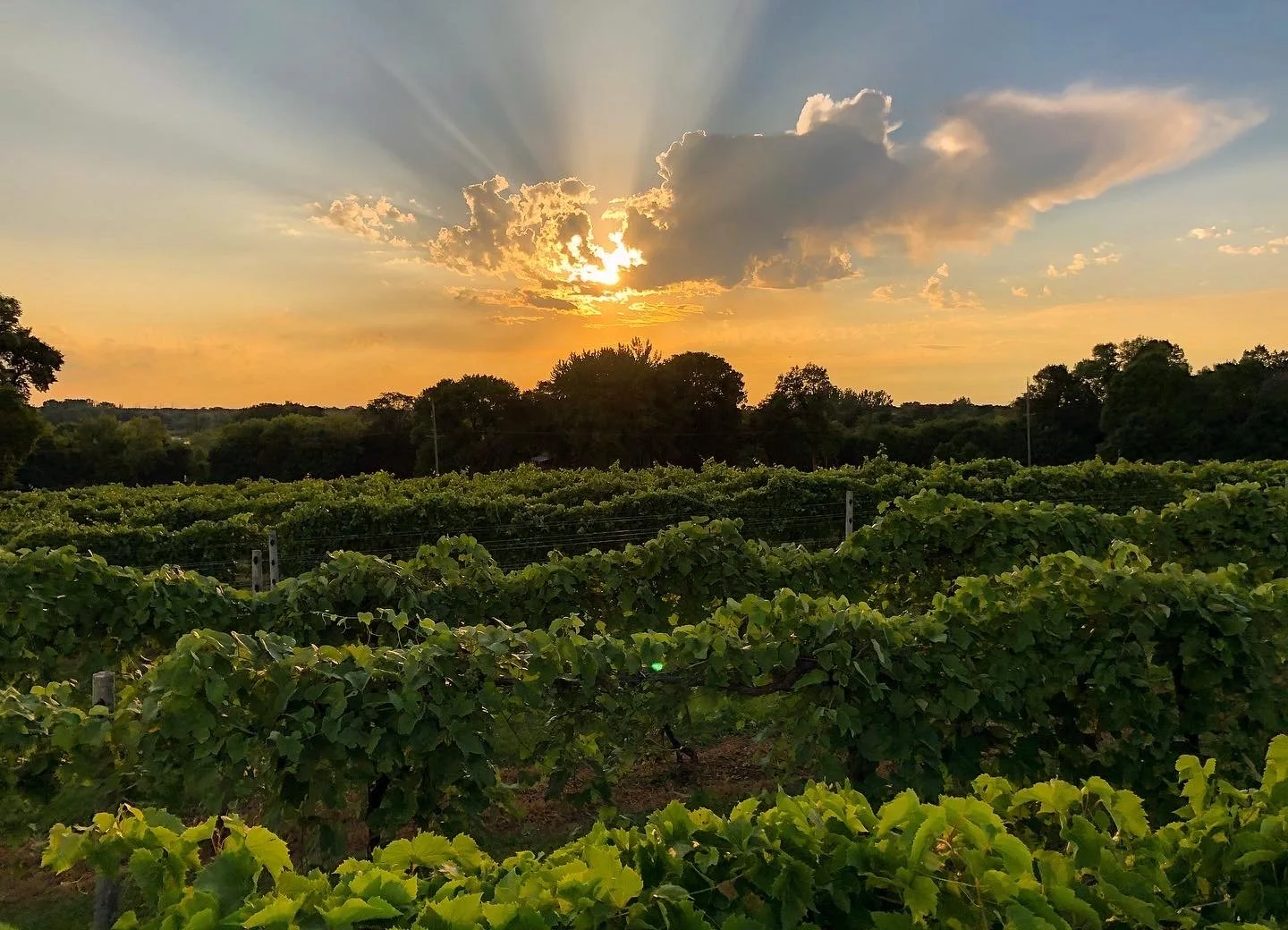 Our Team & Contact — Franklin Township