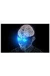 Sport Psychology & How The Athlete’s Brain Works — Ben Foodman
