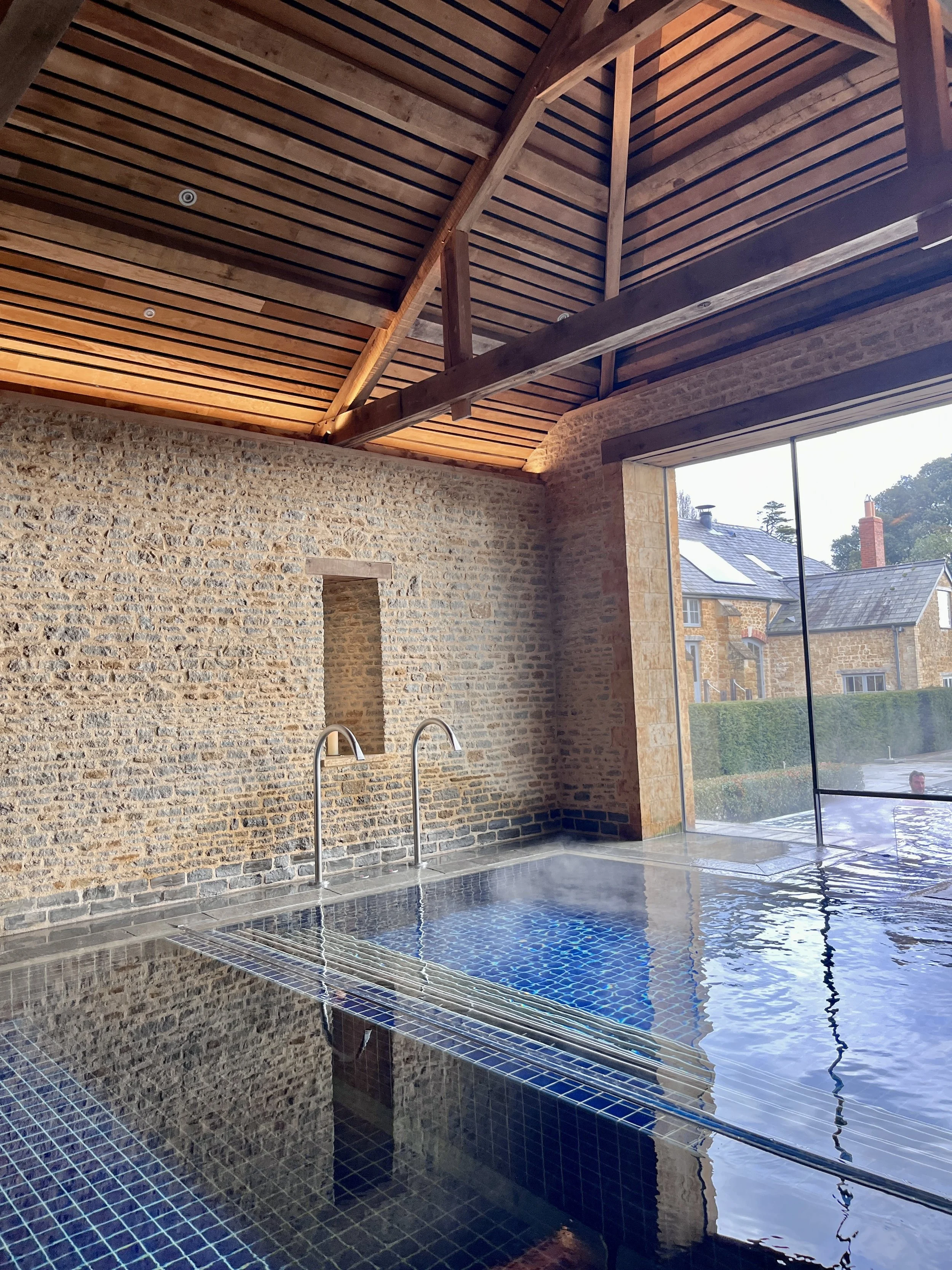 The Newt Review — Where Soph Went