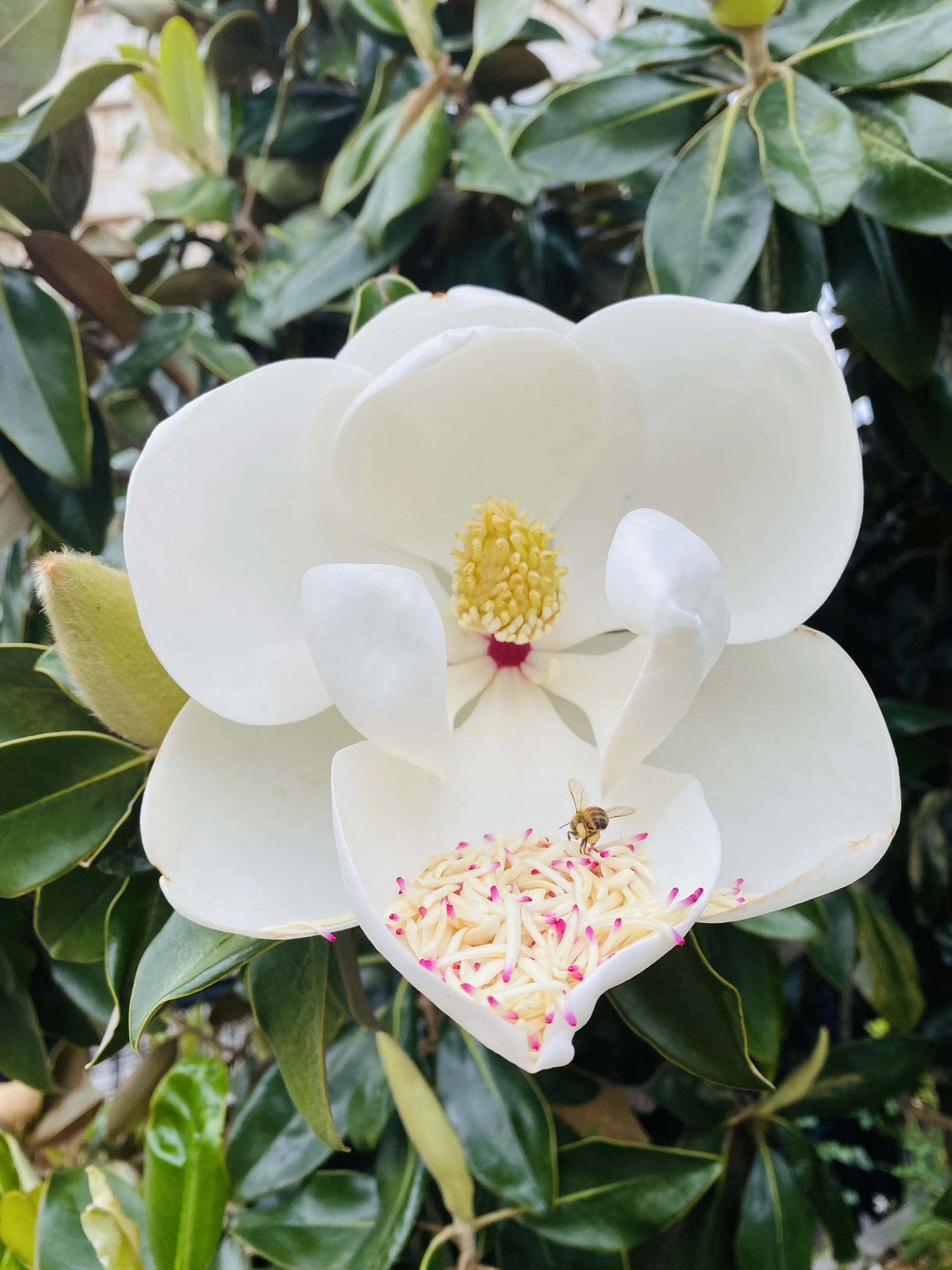 Compass Rose Floral Design | Pennsylvania Wedding & Event Florist