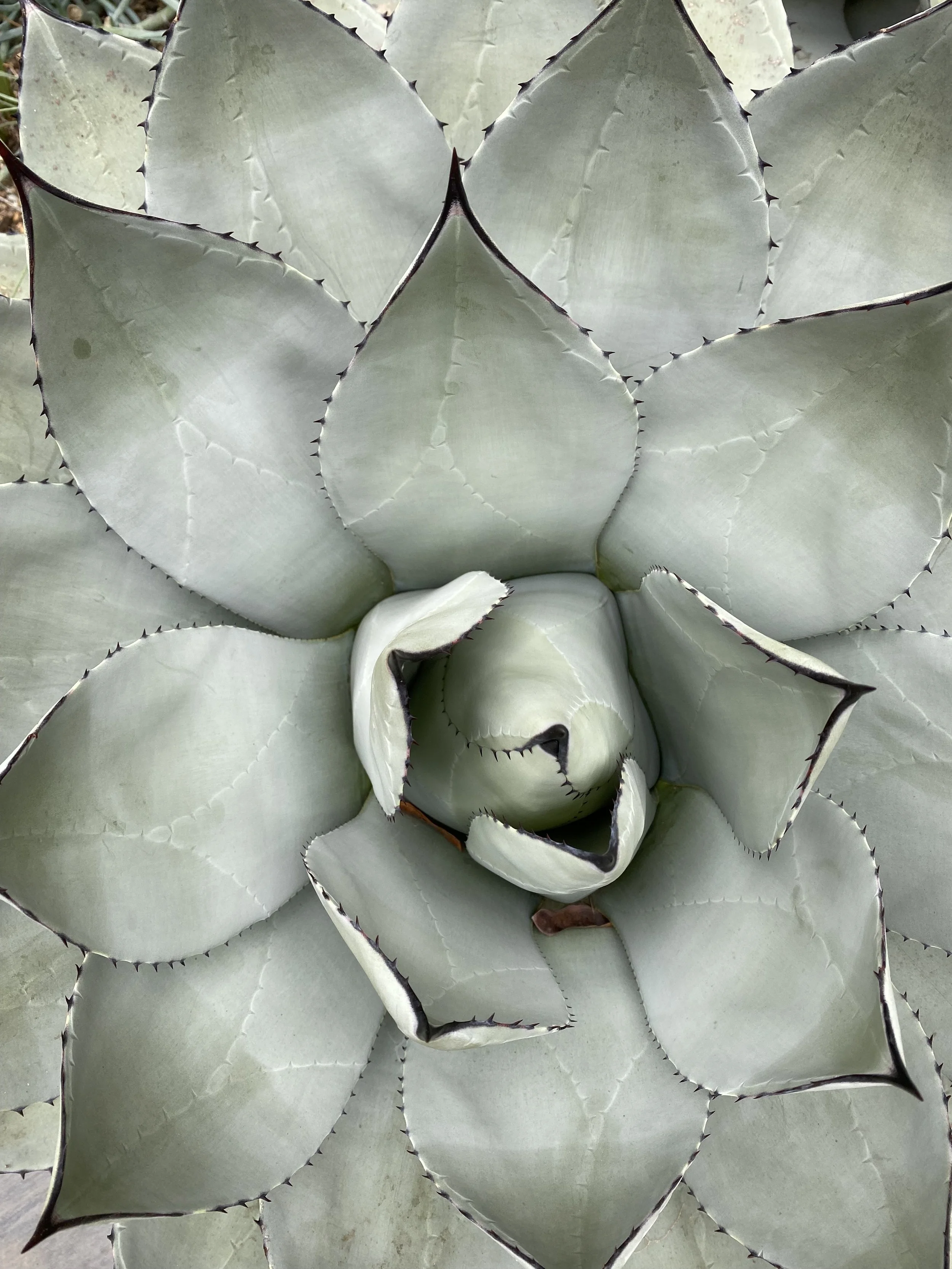 Compass Rose Floral Design | Pennsylvania Wedding & Event Florist