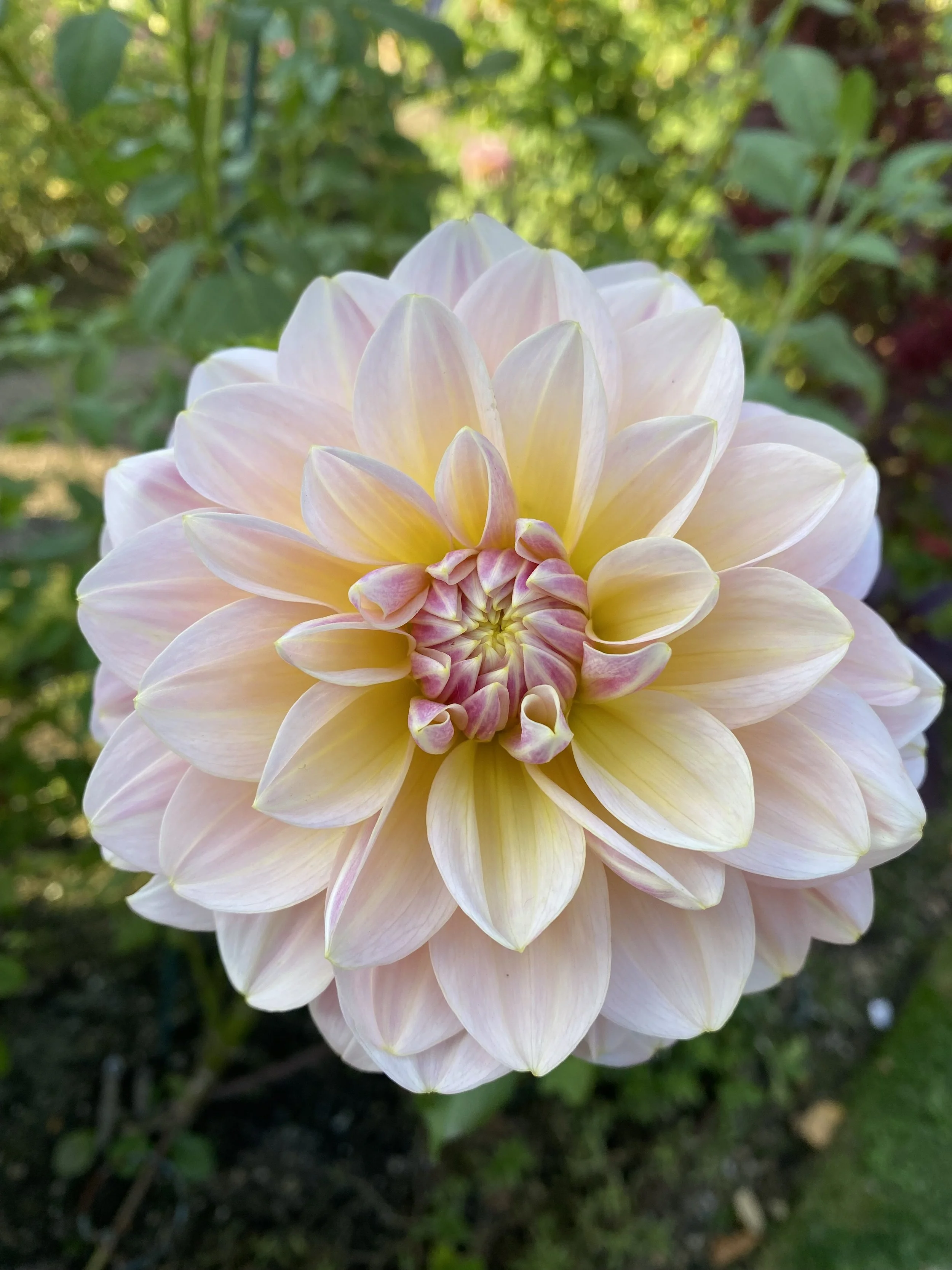 Compass Rose Floral Design | Pennsylvania Wedding & Event Florist