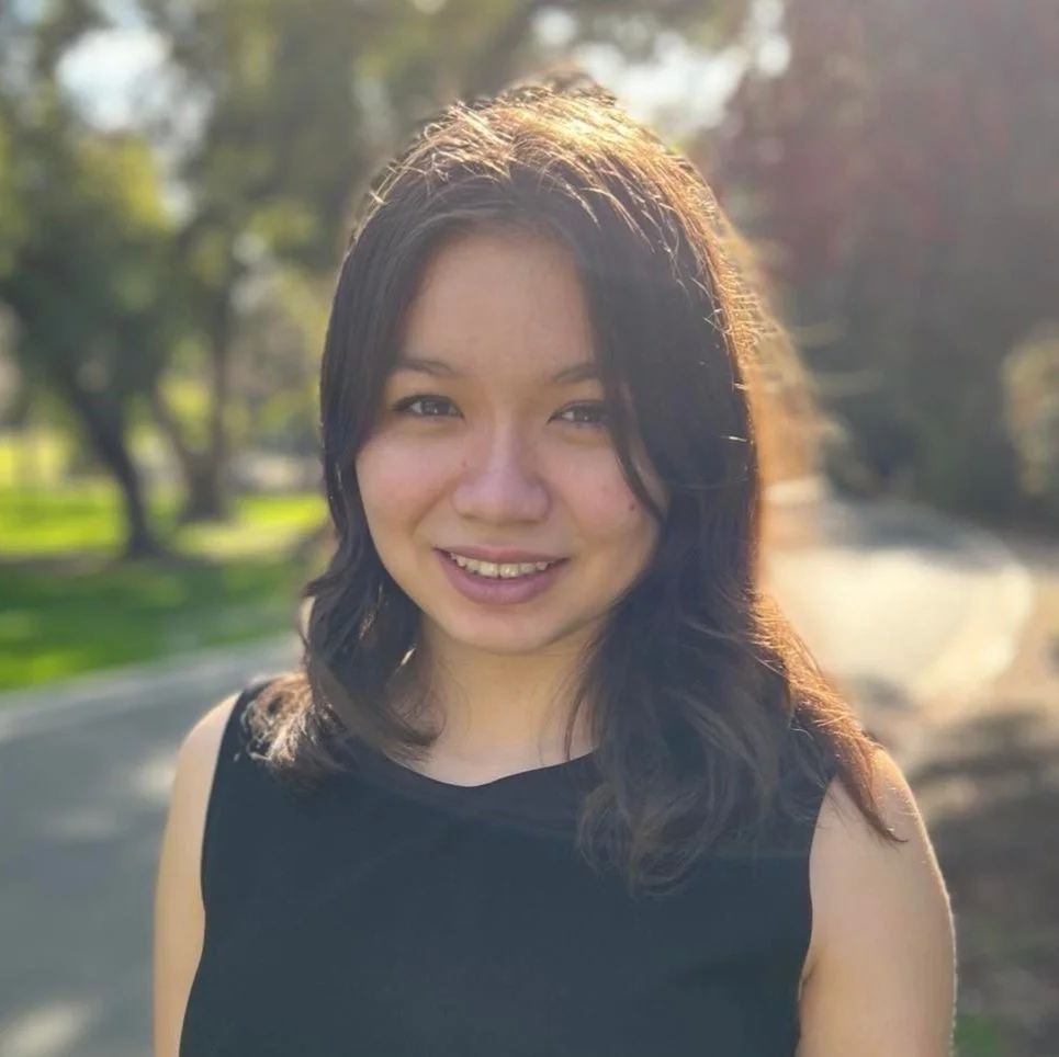 BLUM, COLLINS & HO LLP Home