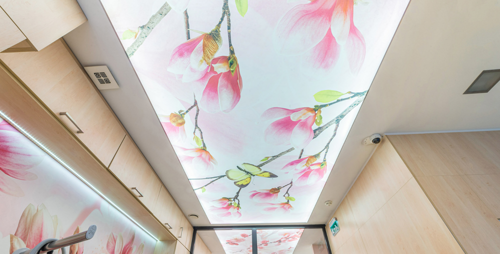 Stretch Ceiling — T&Z Lighting Co.