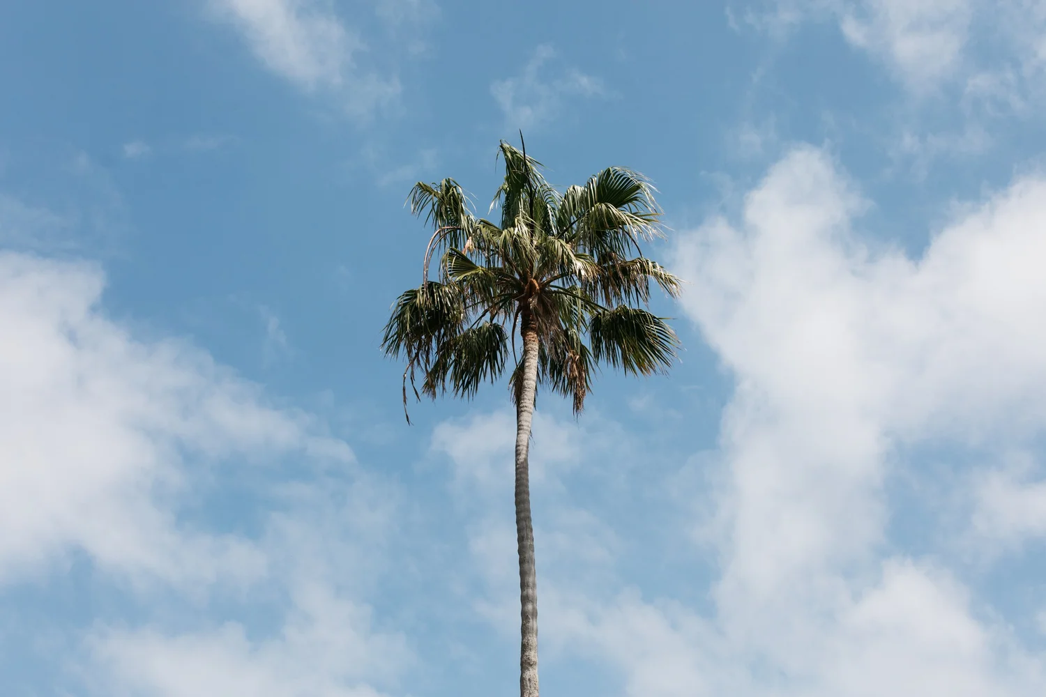 An iconic outdoor playground located in the heart of Manly.