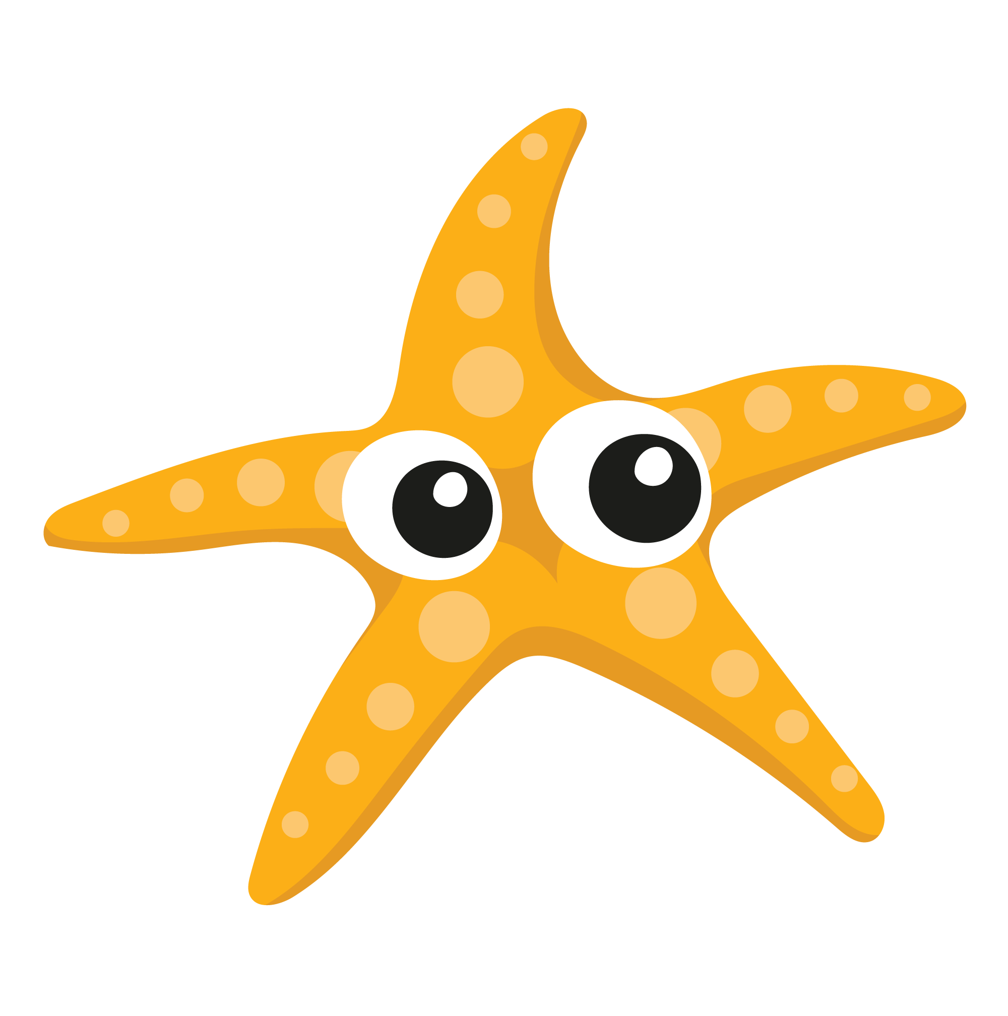 An iconic outdoor playground located in the heart of Manly.