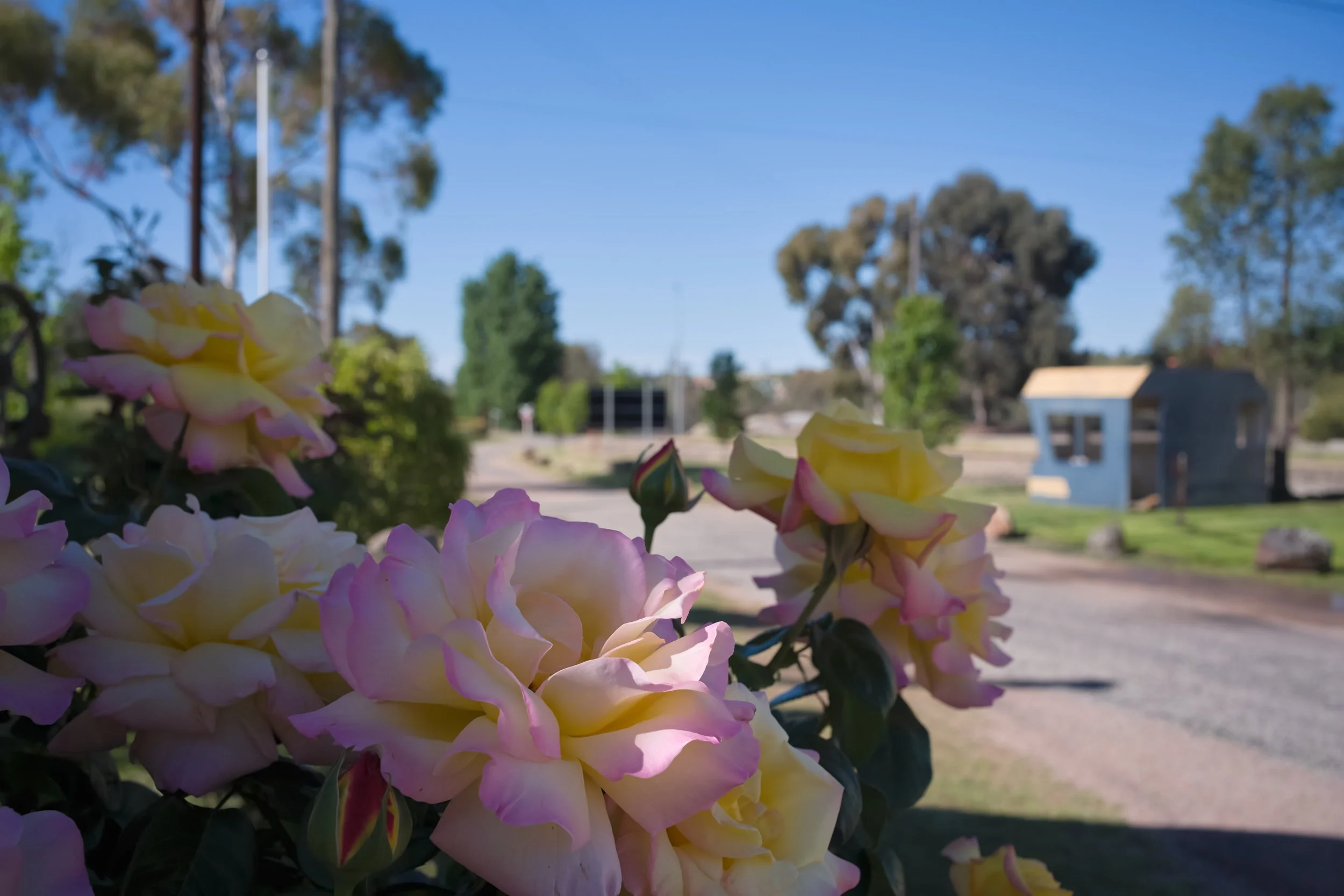 The Junee Roundhouse Museum