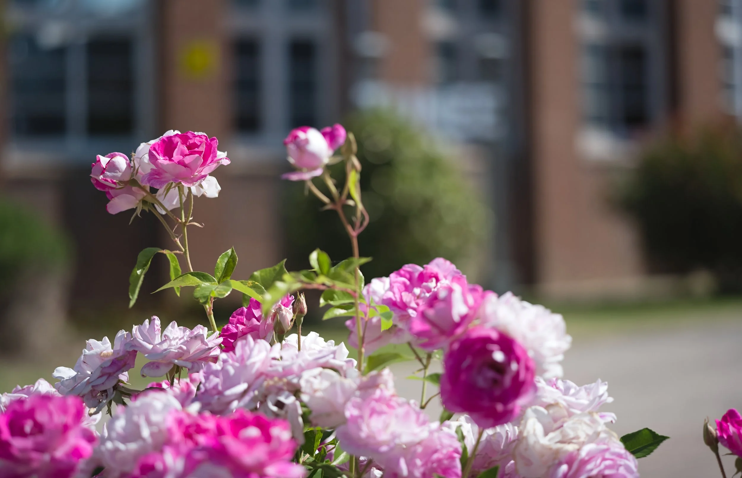 The Junee Roundhouse Museum