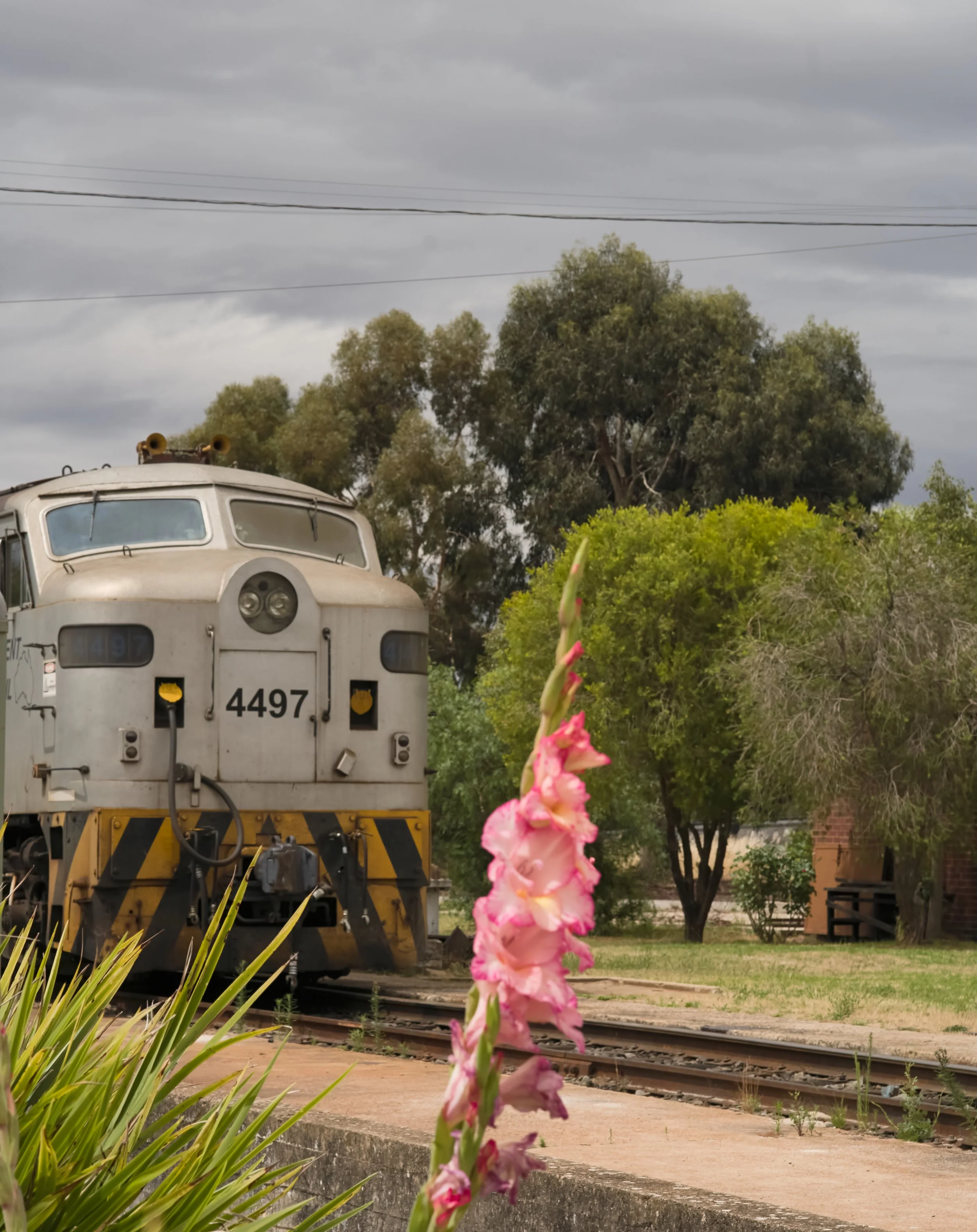The Junee Roundhouse Museum