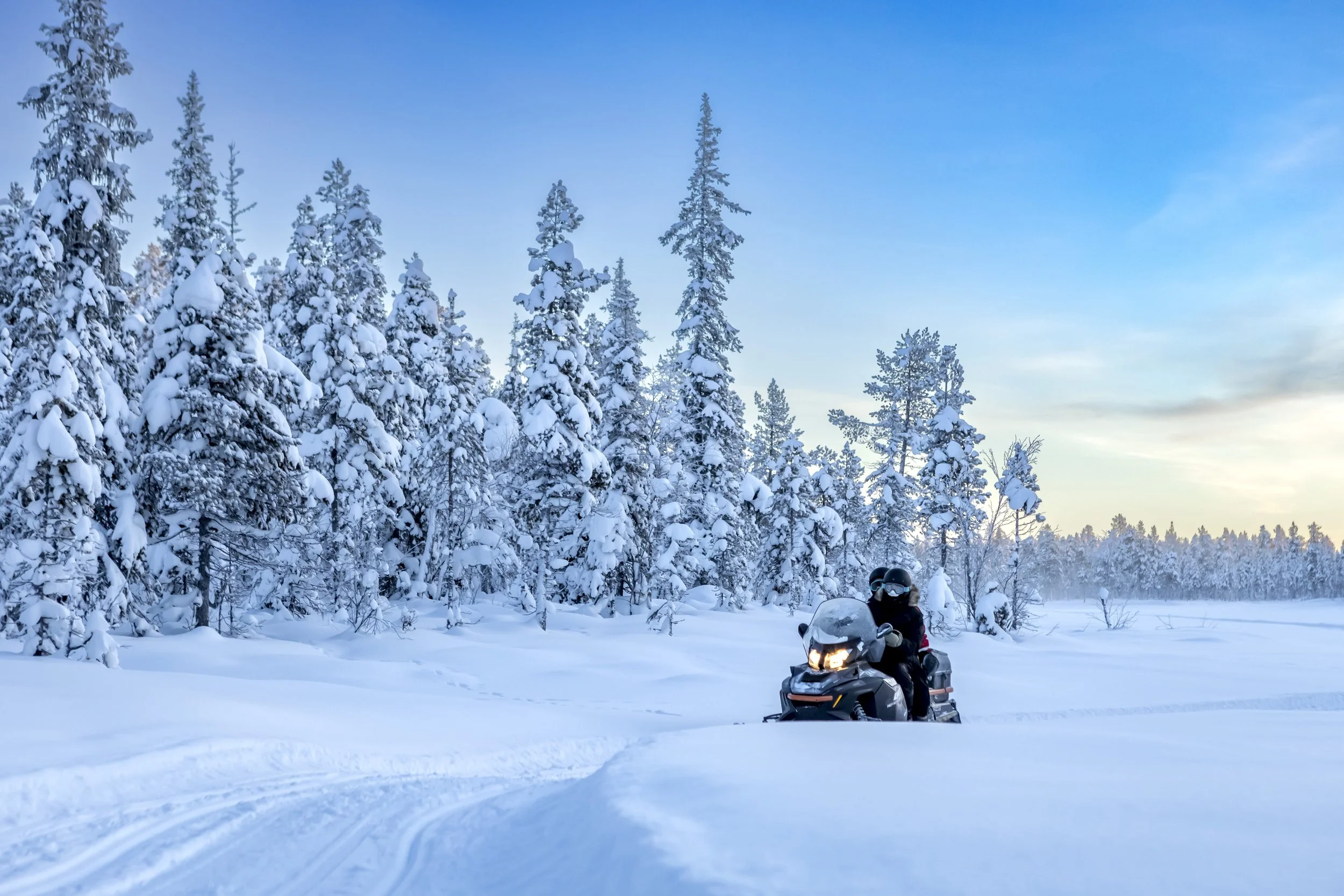 Welcome To Snowdog Dog Sledding And Arctic Adventure Tours Snowdog Welcome To Snowdog Dog Sledding And Arctic Adventure Tours Snowdog