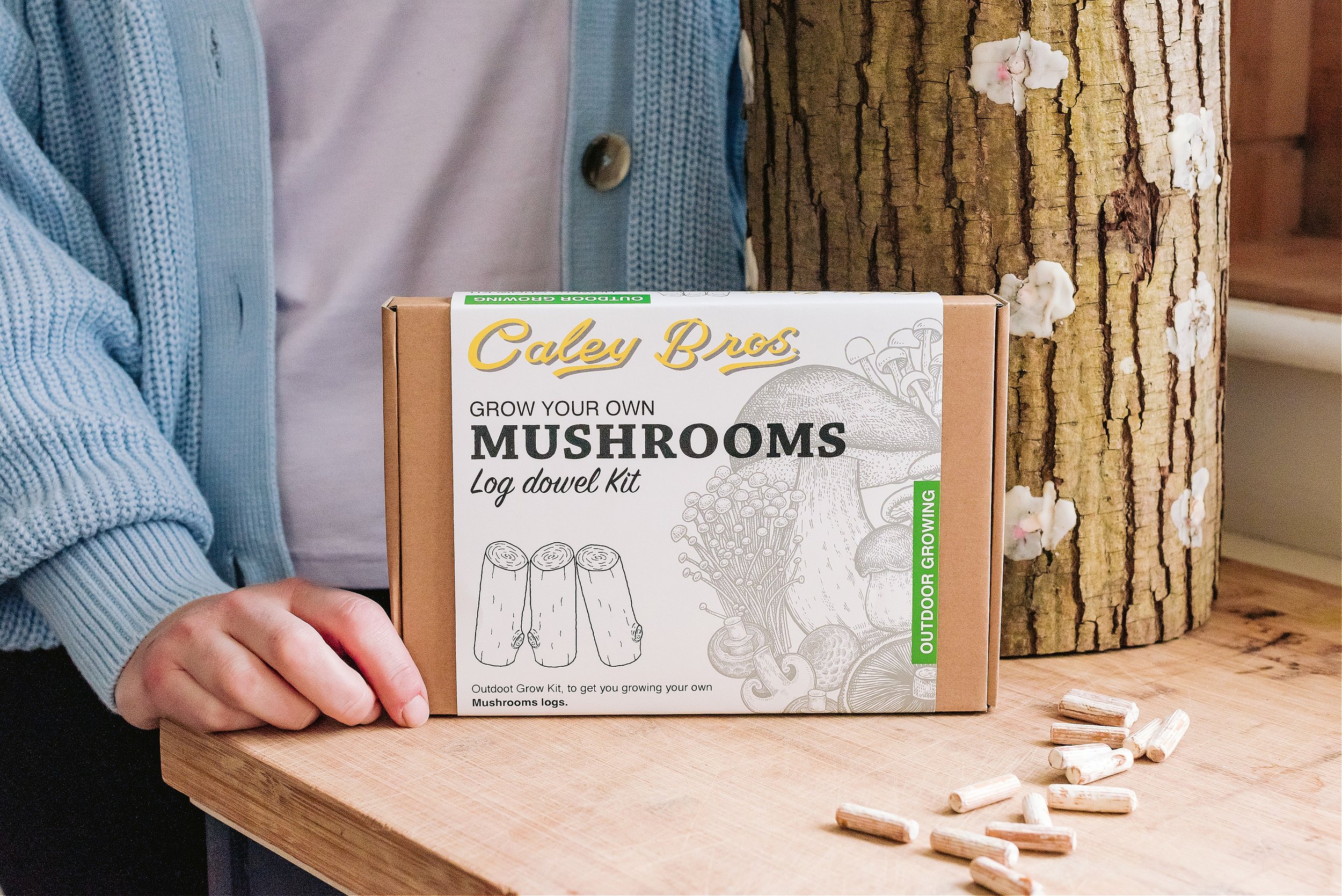 Mushroom Growing Kits & Workshops | Sustainable Gardening | Caley Brothers