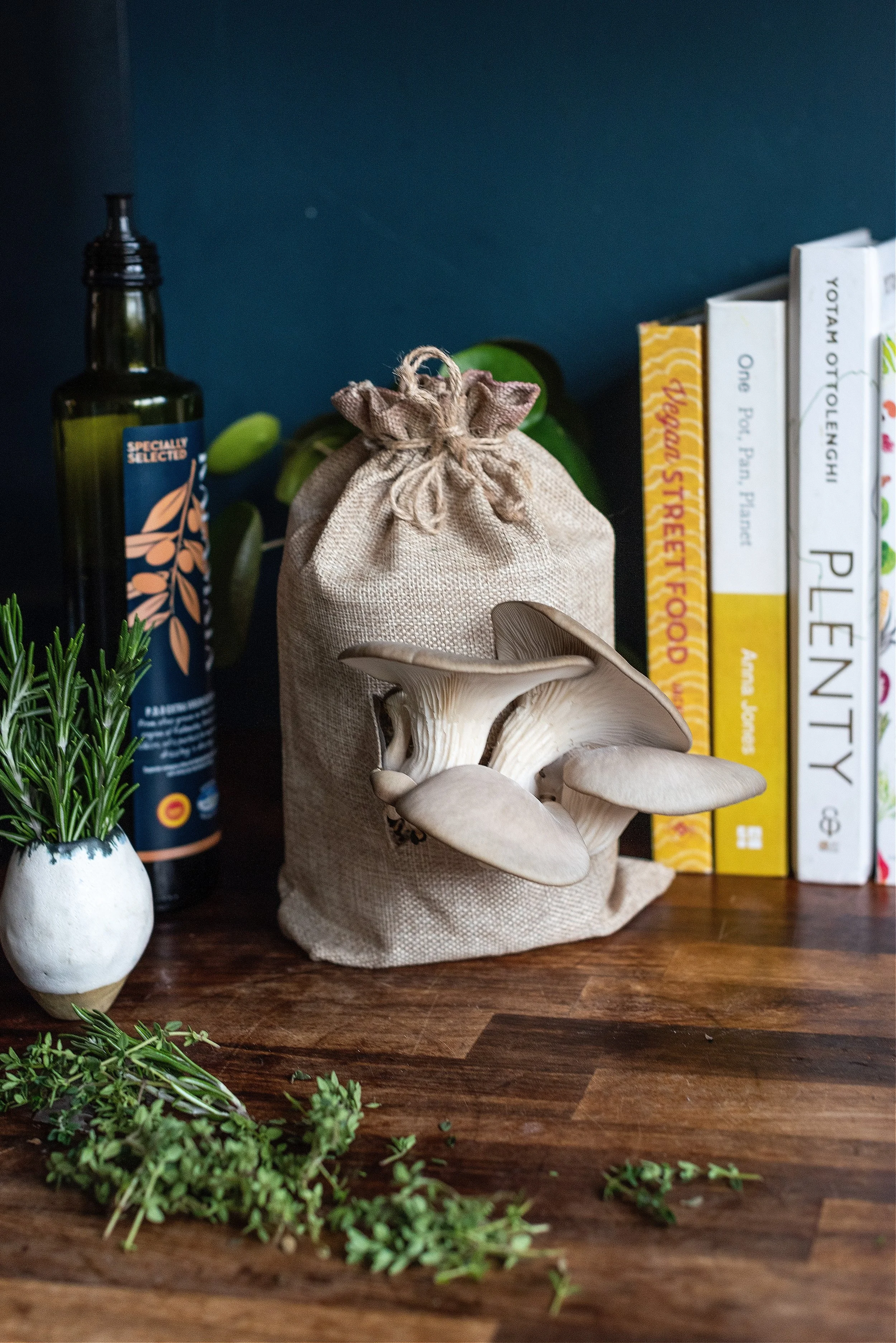 Mushroom Growing Kits & Workshops | Sustainable Gardening | Caley Brothers