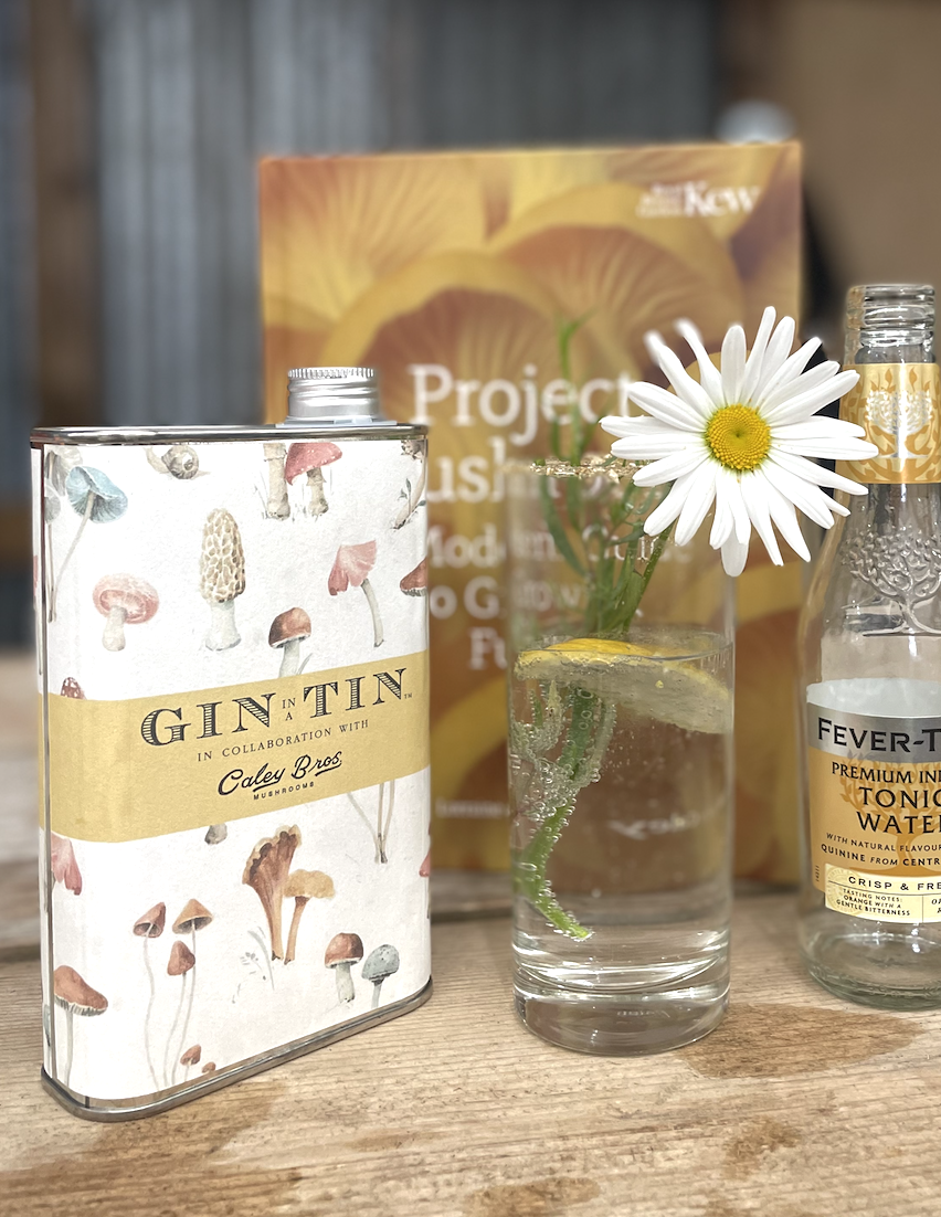 Caley Brothers | Mushroom Grow Kits & Workshops in Sussex