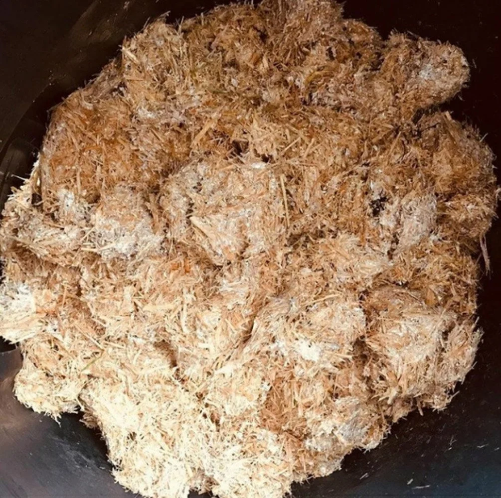 Learn how you can grow mushrooms into packaging!