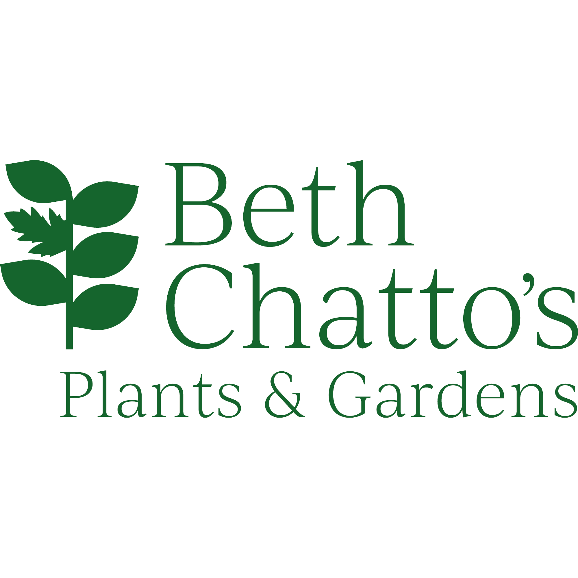 Caley Brothers | Mushroom Grow Kits & Workshops in Sussex