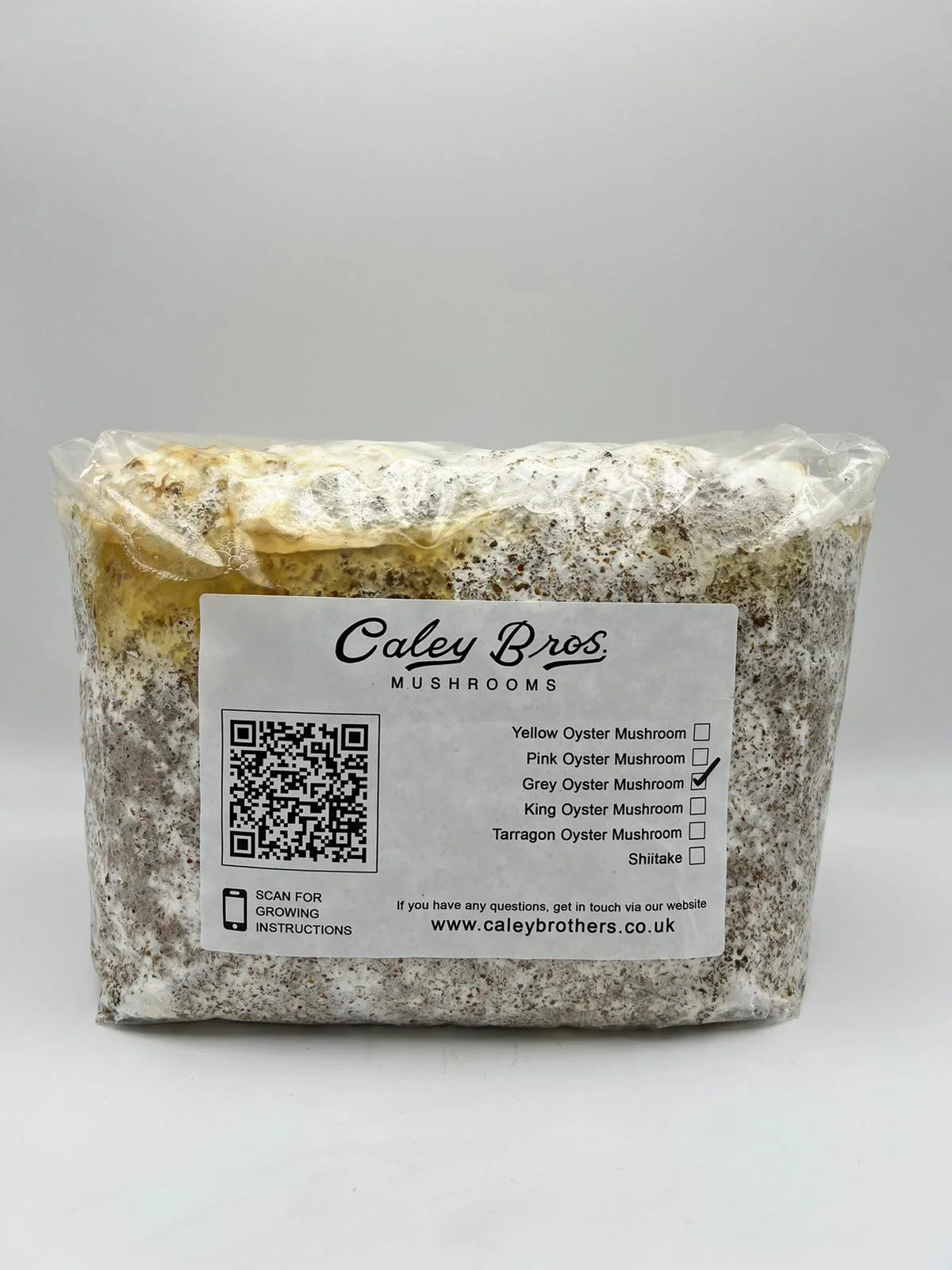 Mushroom Growing Kits & Workshops | Sustainable Gardening | Caley Brothers