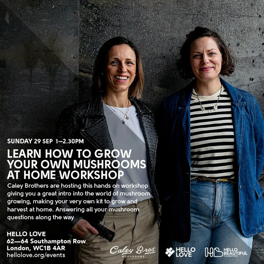 Caley Brothers | Mushroom Grow Kits & Workshops in Sussex