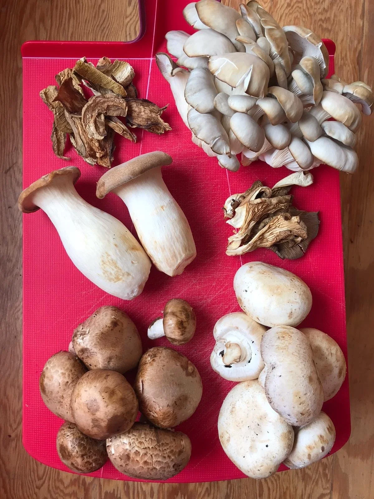 Introducing you to a few of our favourite edible mushrooms