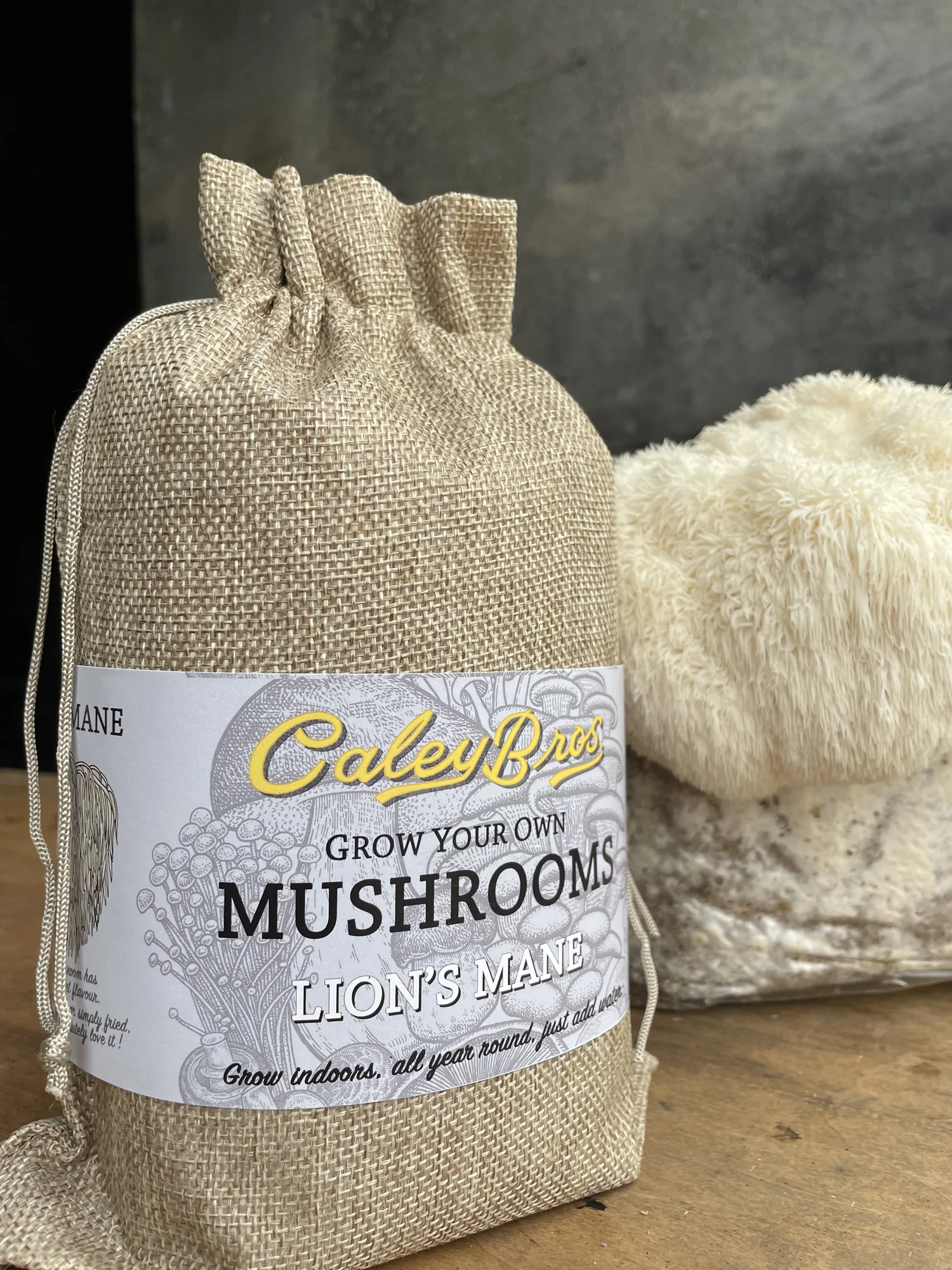 Mushroom Growing Kits & Workshops | Sustainable Gardening | Caley Brothers