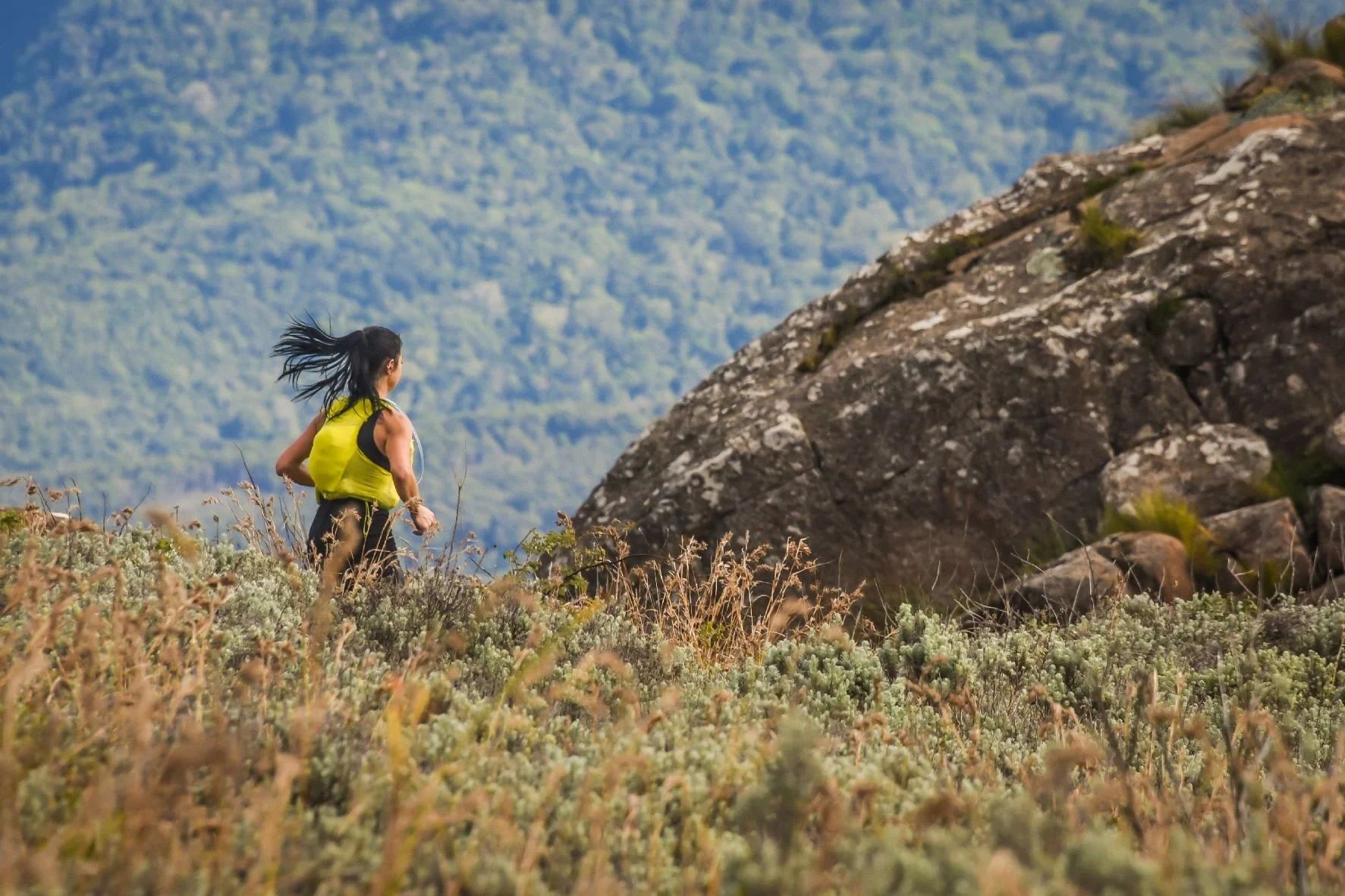 Hobbit Trail Runs Adventure Run