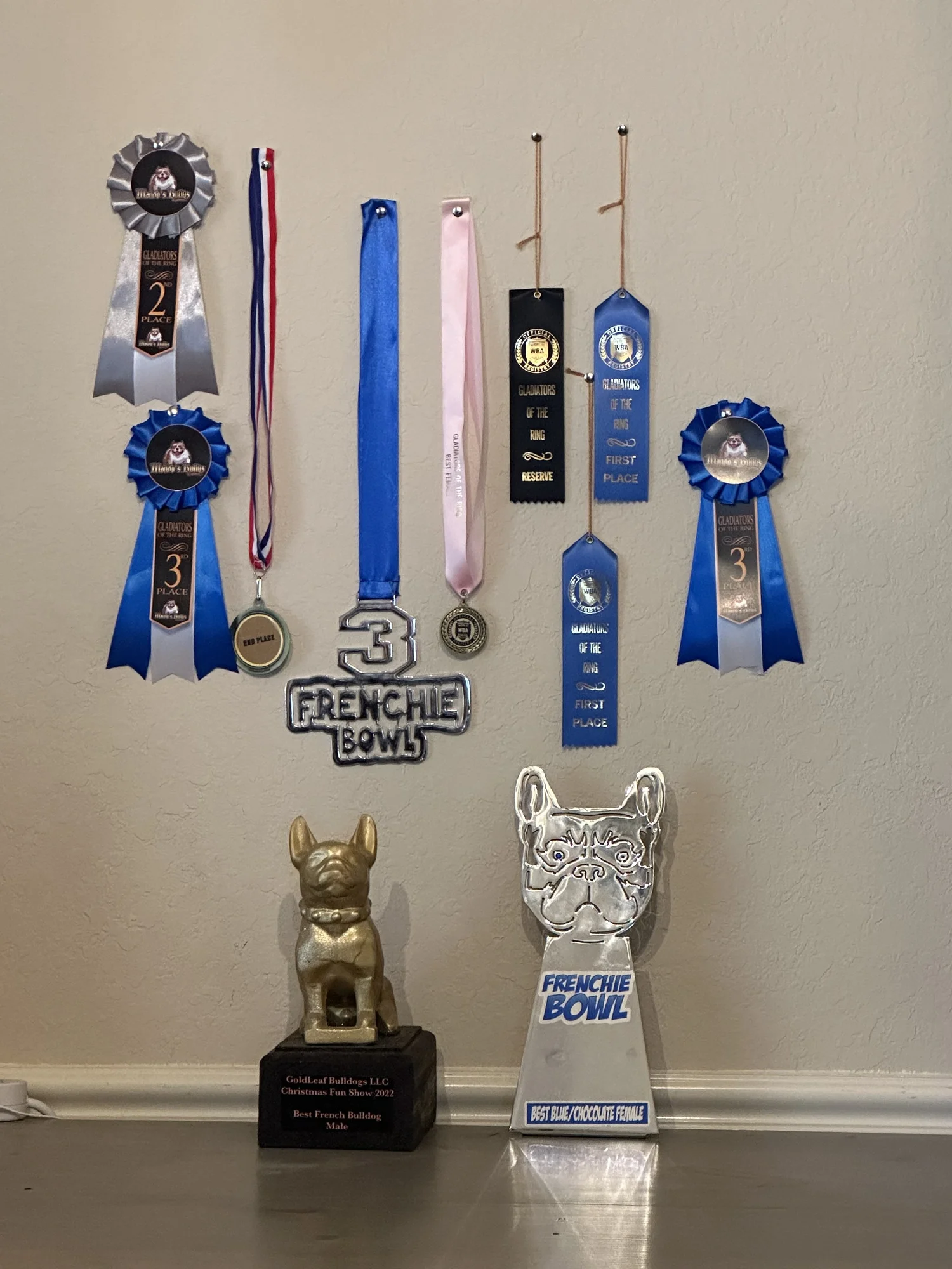 Dream Workz Frenchies - French Bulldog Breeder