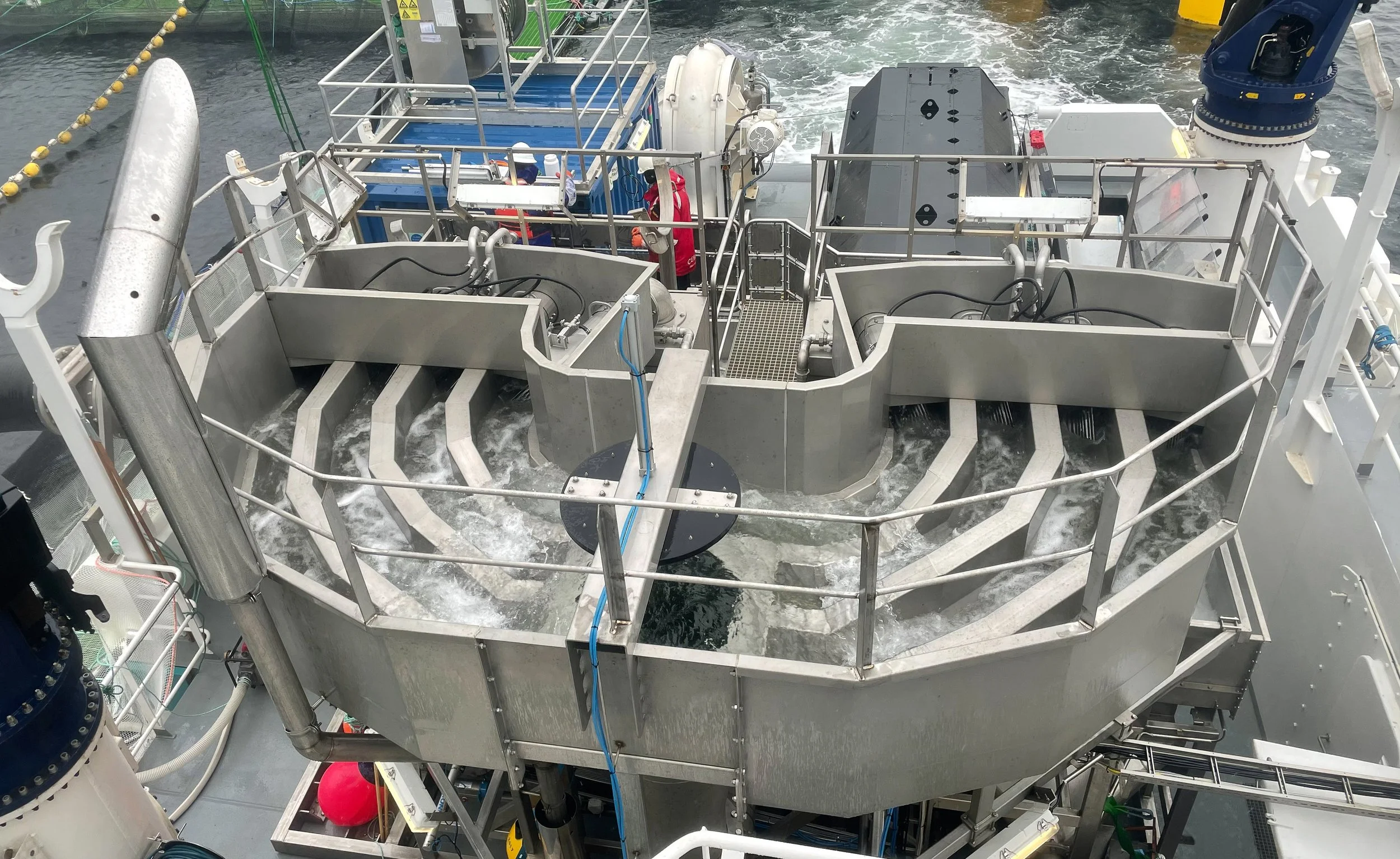 Why Does SFI SYSTEM Use Free Fall Flushing for Sea Lice Treatment ...