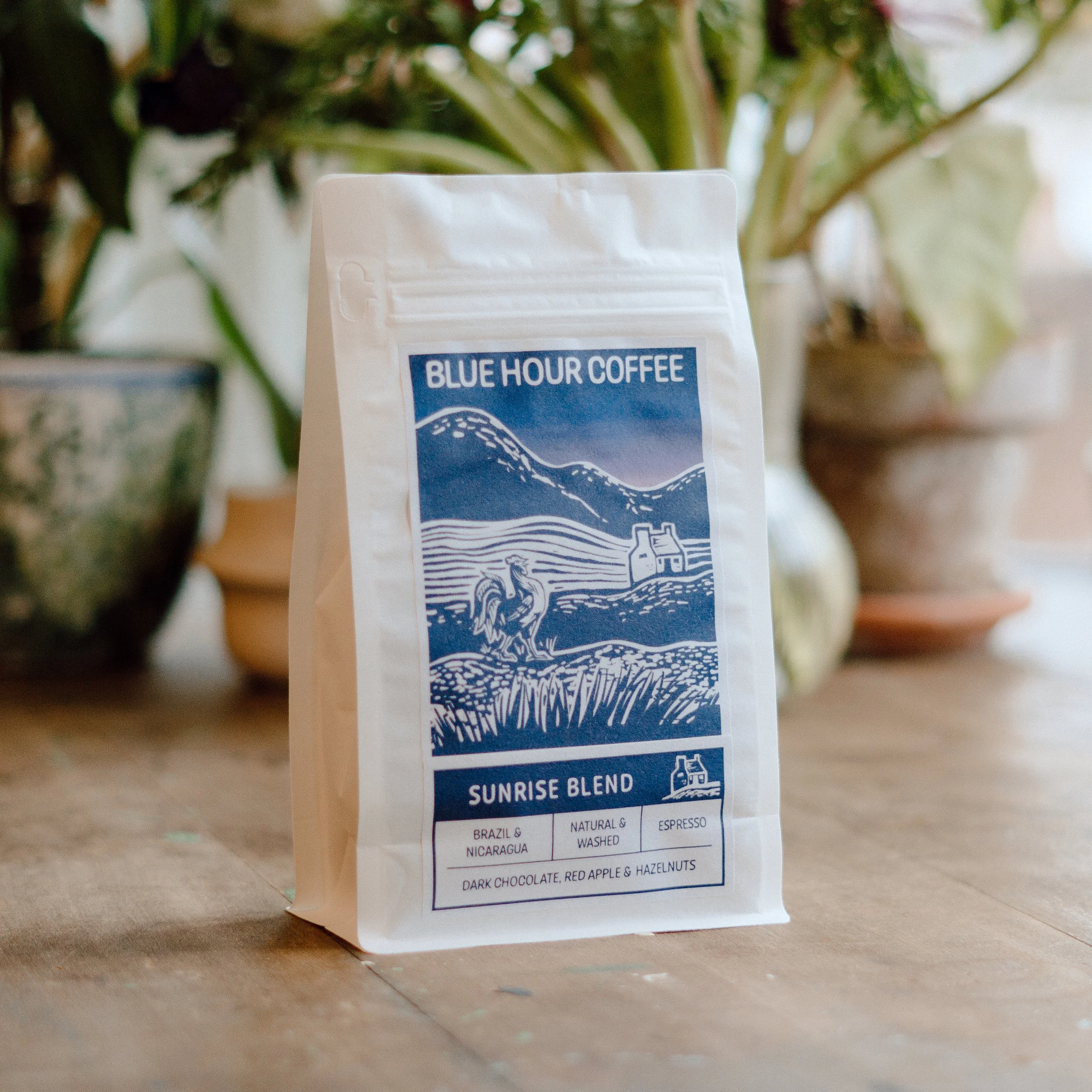 Blue Hour Coffee | Speciality Coffee Roasted in Hampshire