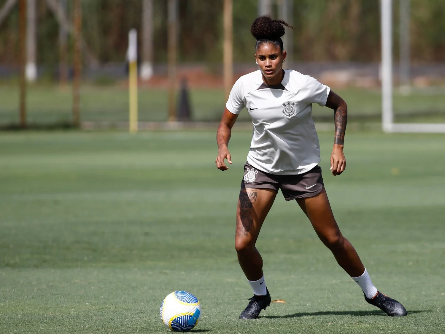 Dash break transfer record to sign Brazilian defender Tarciane — Bayou ...