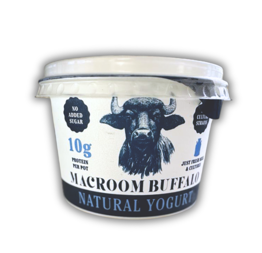 Natural Yogurt — Macroom Buffalo Cheese