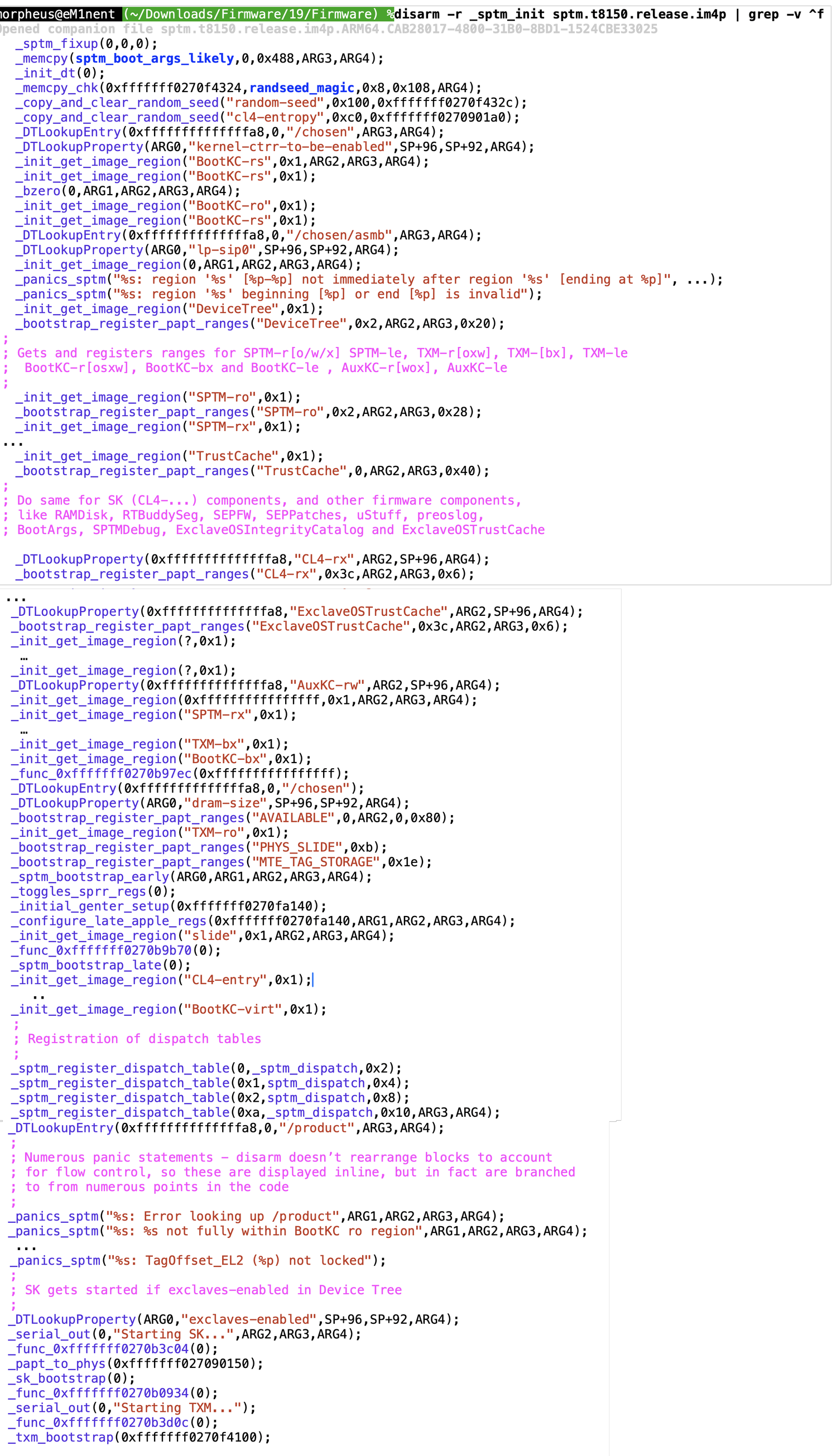 SPTM - The Last Bits — Dataflow Forensics