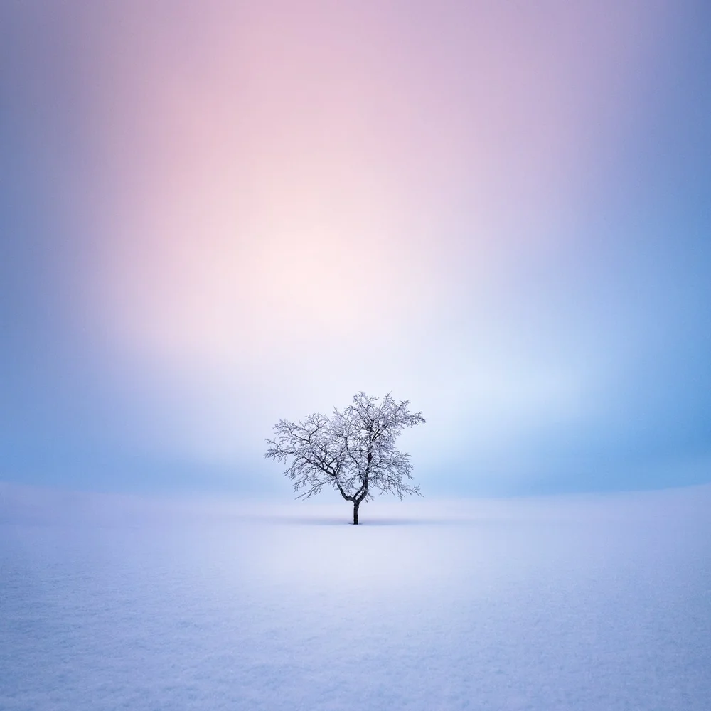 Winter photography – How to photograph in difficult Weather — Mikko ...