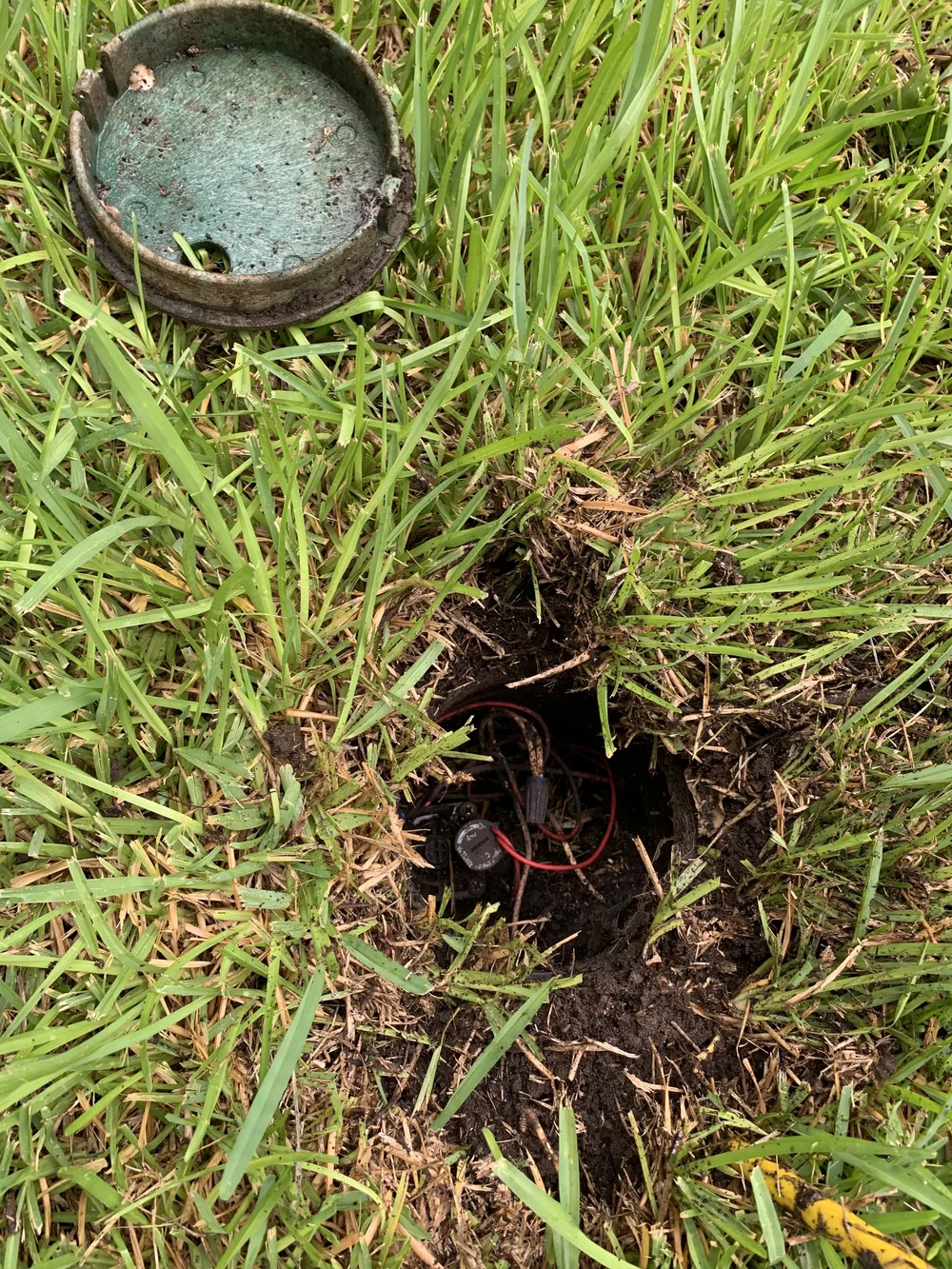 BCD Tree and Environmental