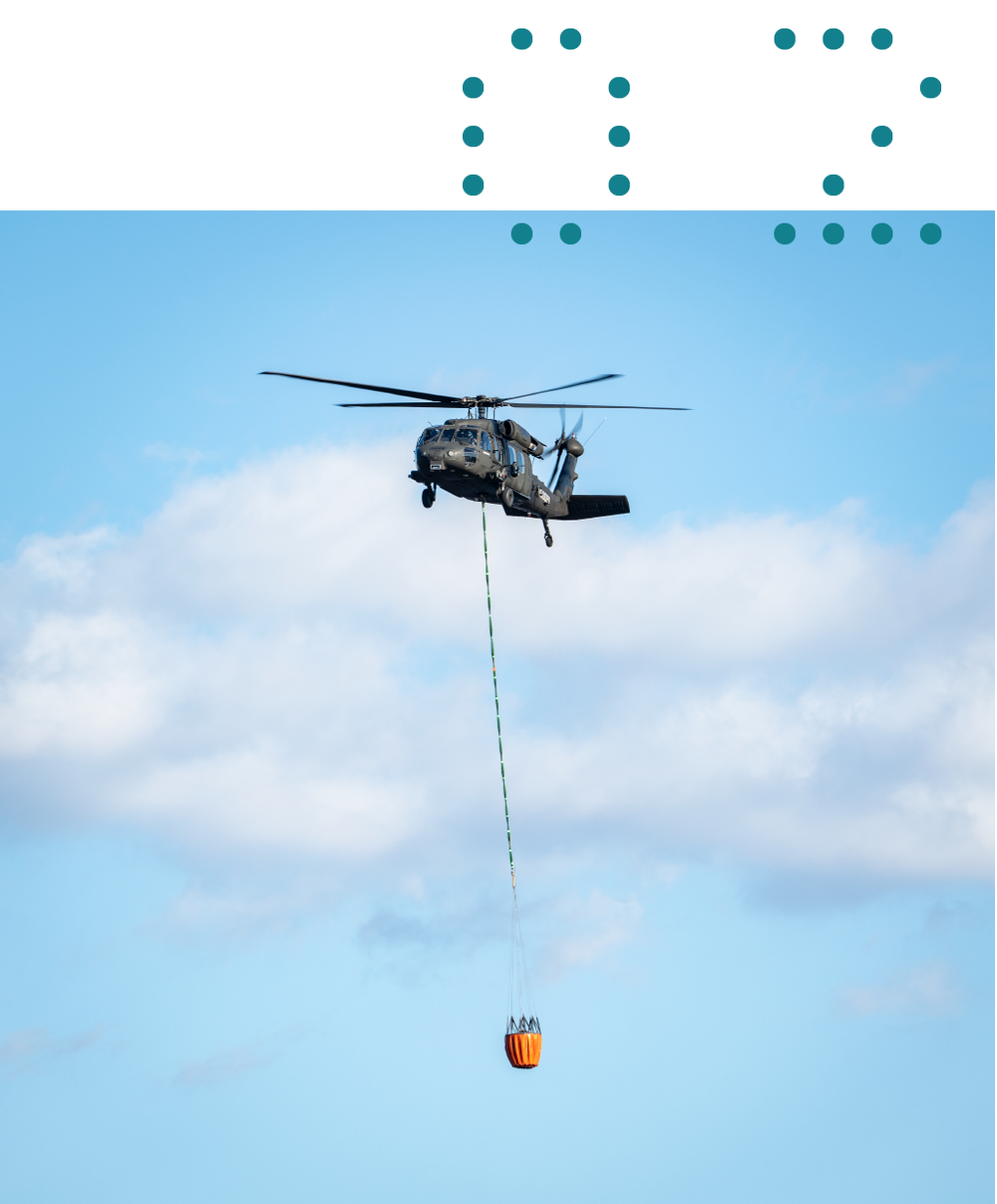 Rain | Autonomous Wildfire Management