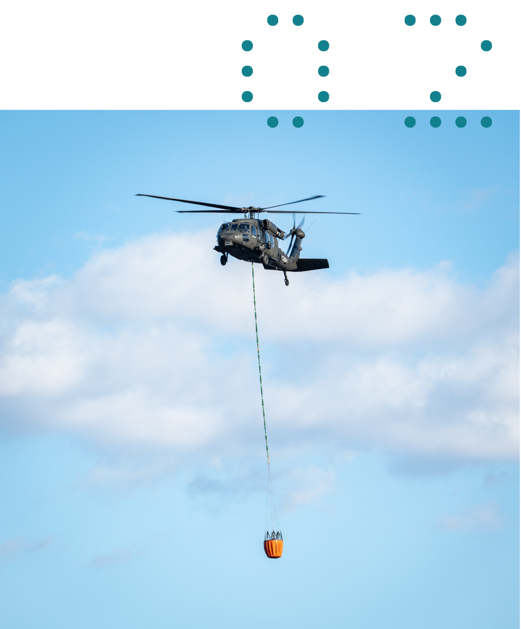 Rain | Autonomous Wildfire Management