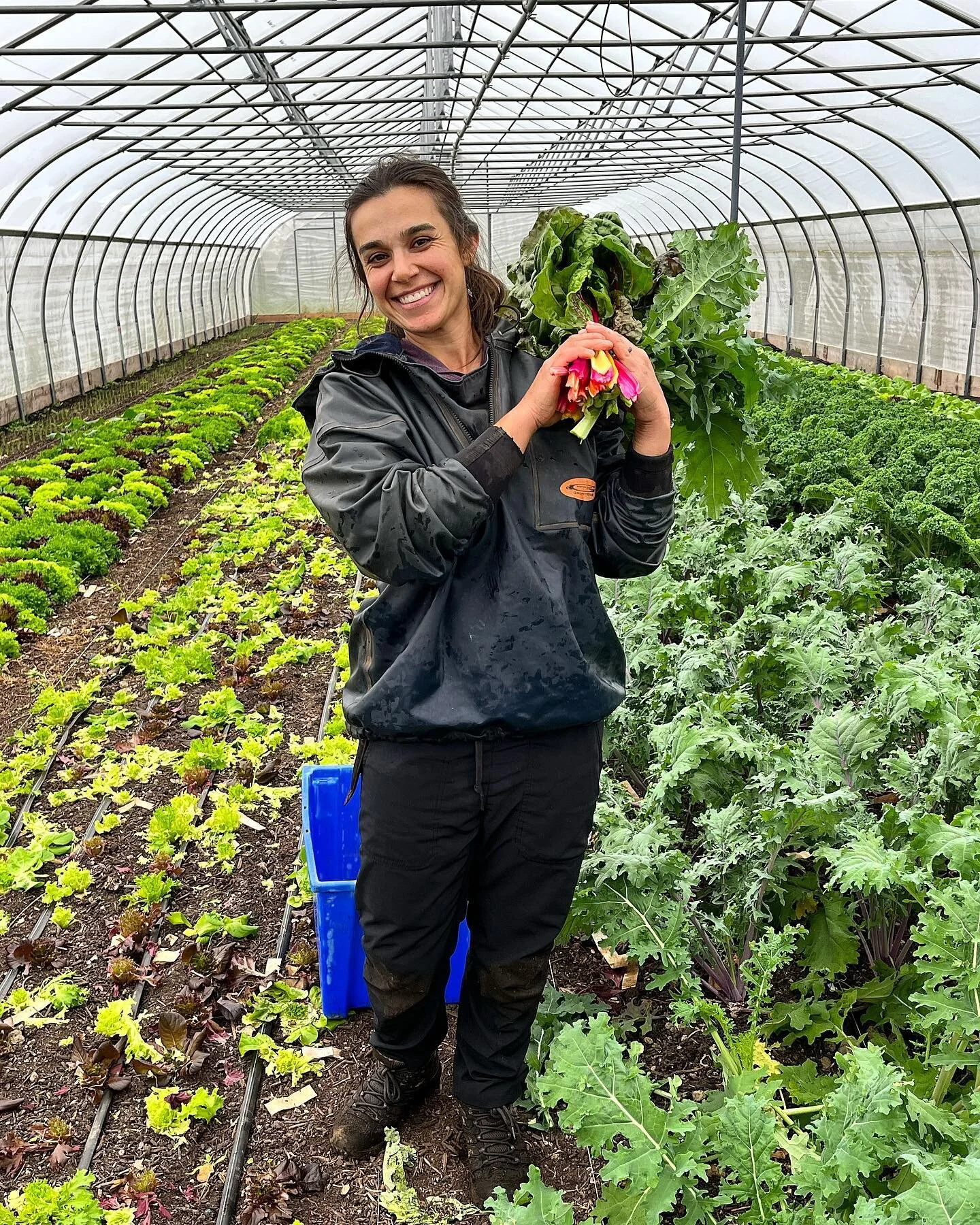 Long Lane Farm | Organic Produce Farm | Warren, RI