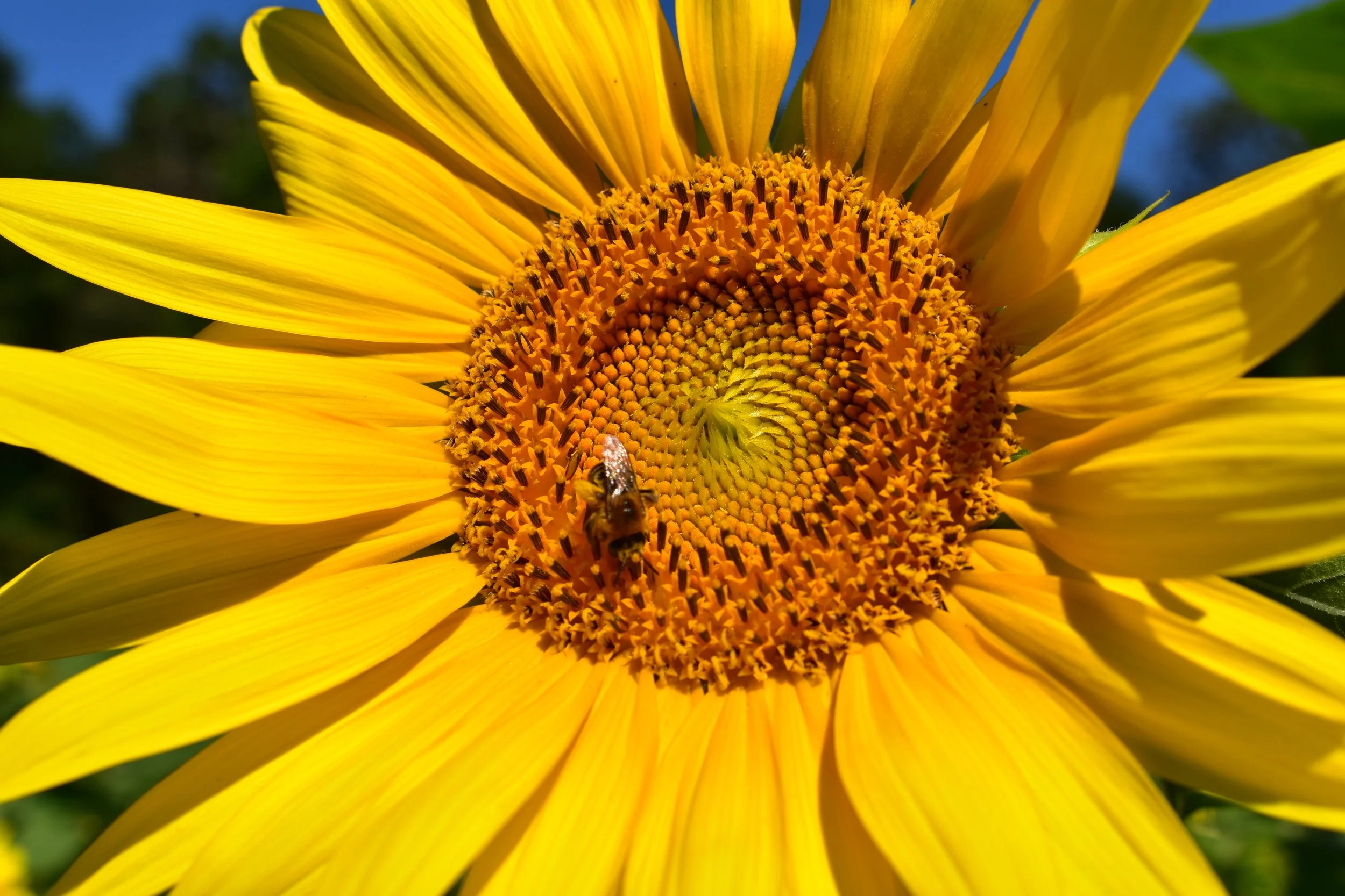 Contact | Warren, RI — Long Lane Farm