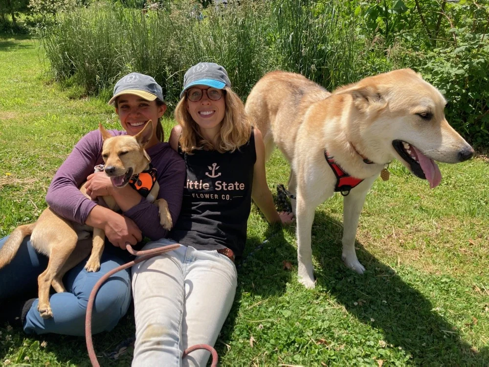 About | Family Owned & Operated Farm — Long Lane Farm