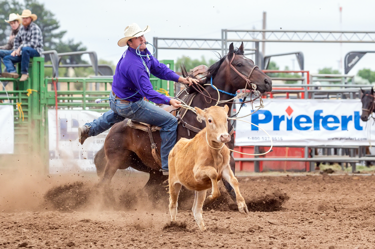 SYV Western Heritage Foundation
