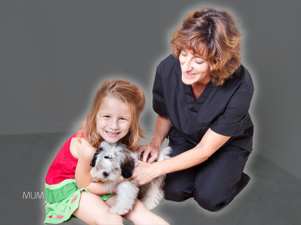 What is Animal-Assisted Therapy? — Made Up Mind