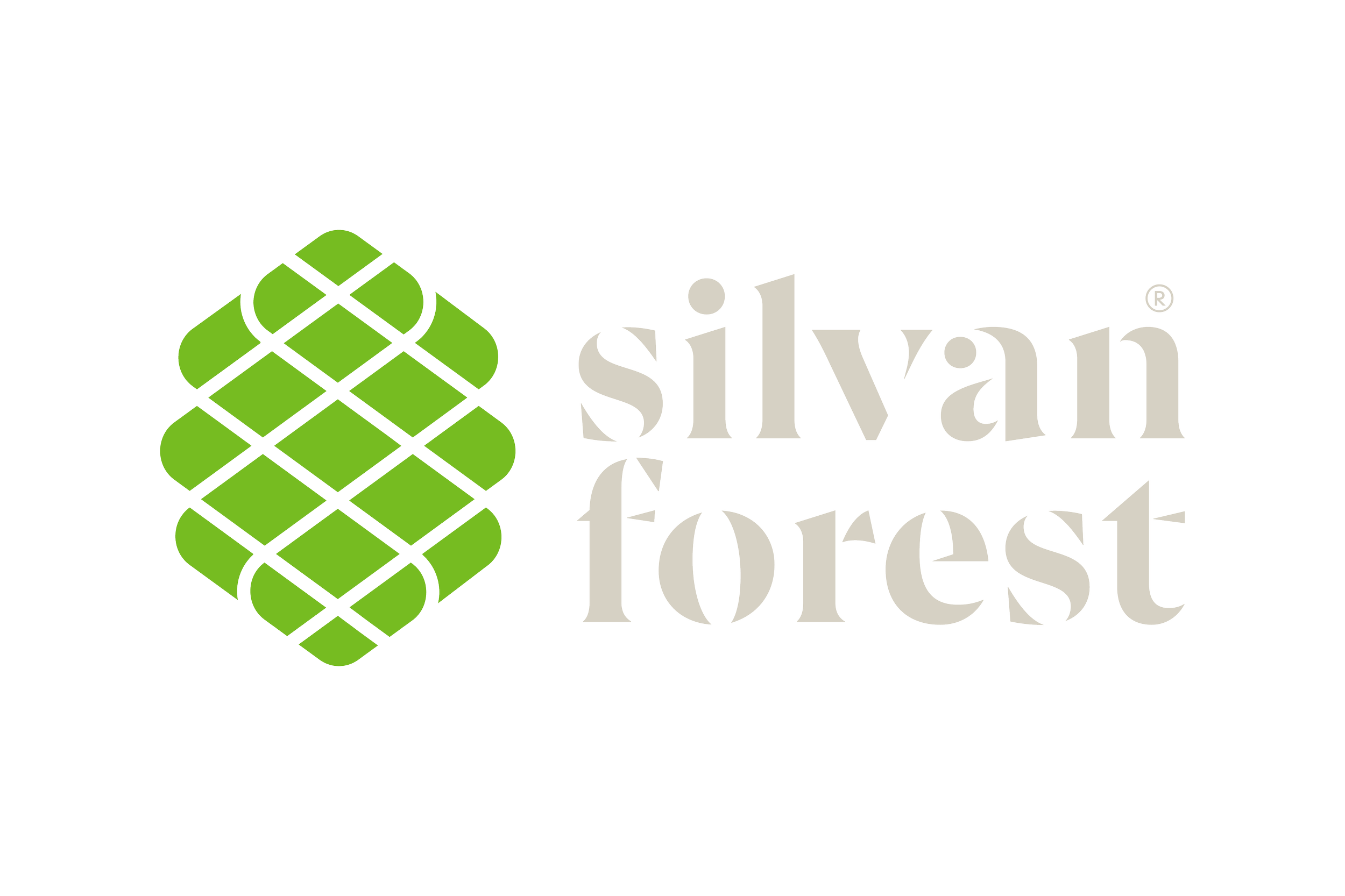 Silvan Forest