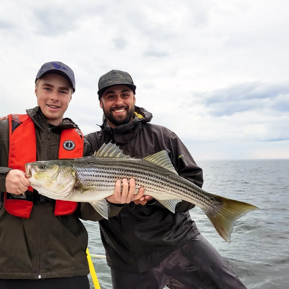 Galerie Photos et Vidéos des nos Excursions — Rats de Marées - Guide de ...