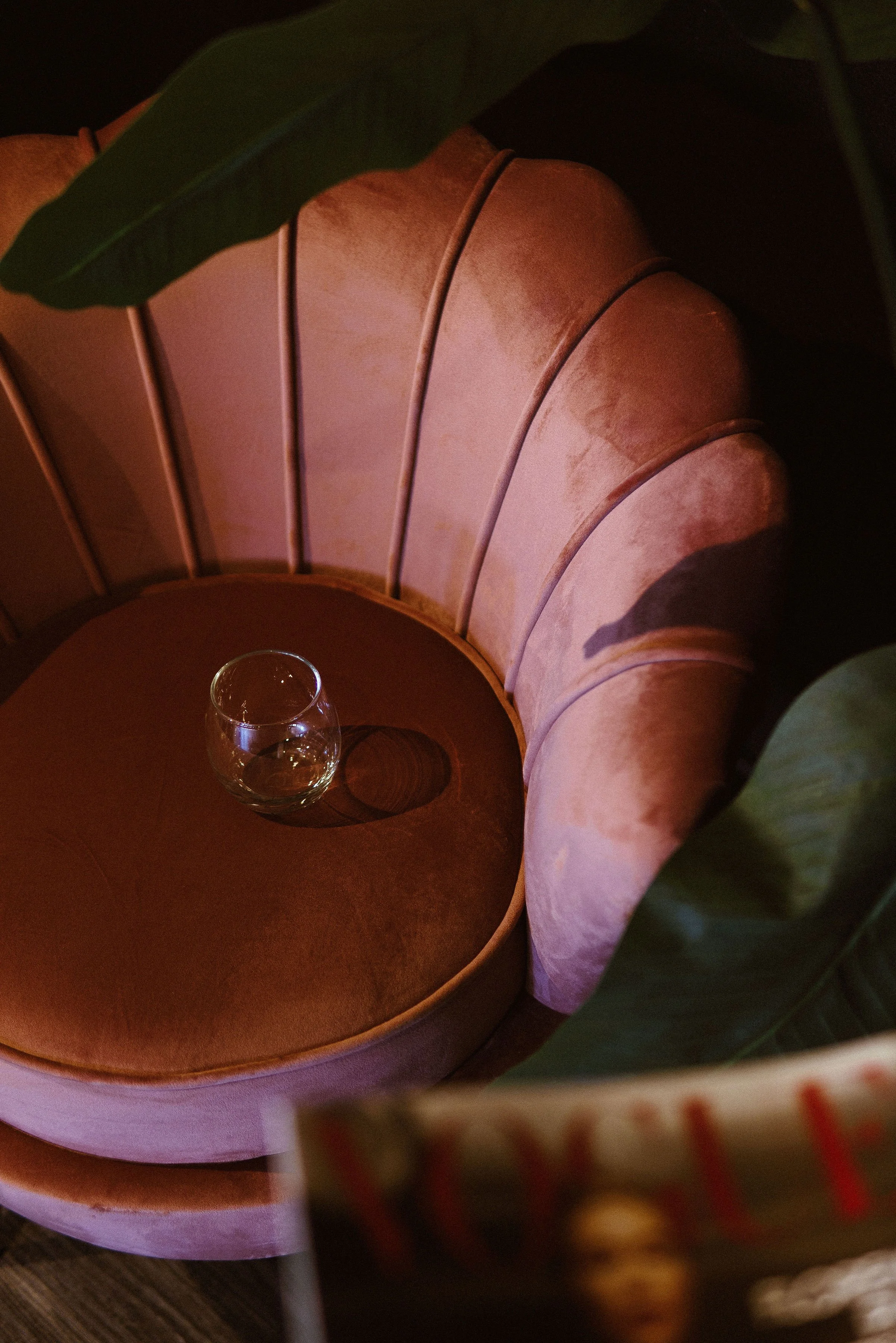 The David O'Shell Studio