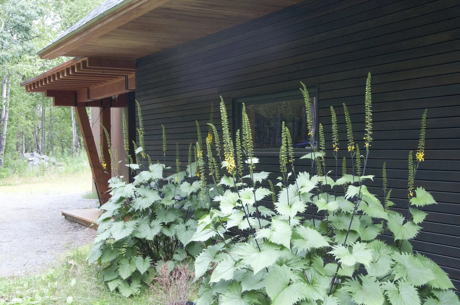 Gallery — Wolf Architecture