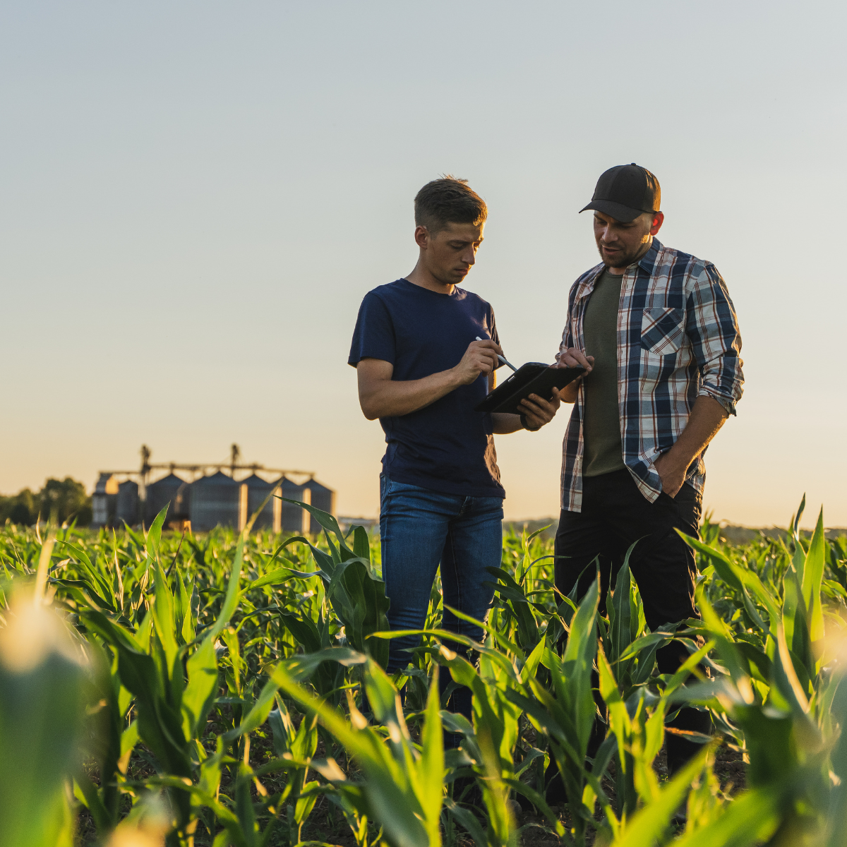 About Hardline Engineering — Hardline