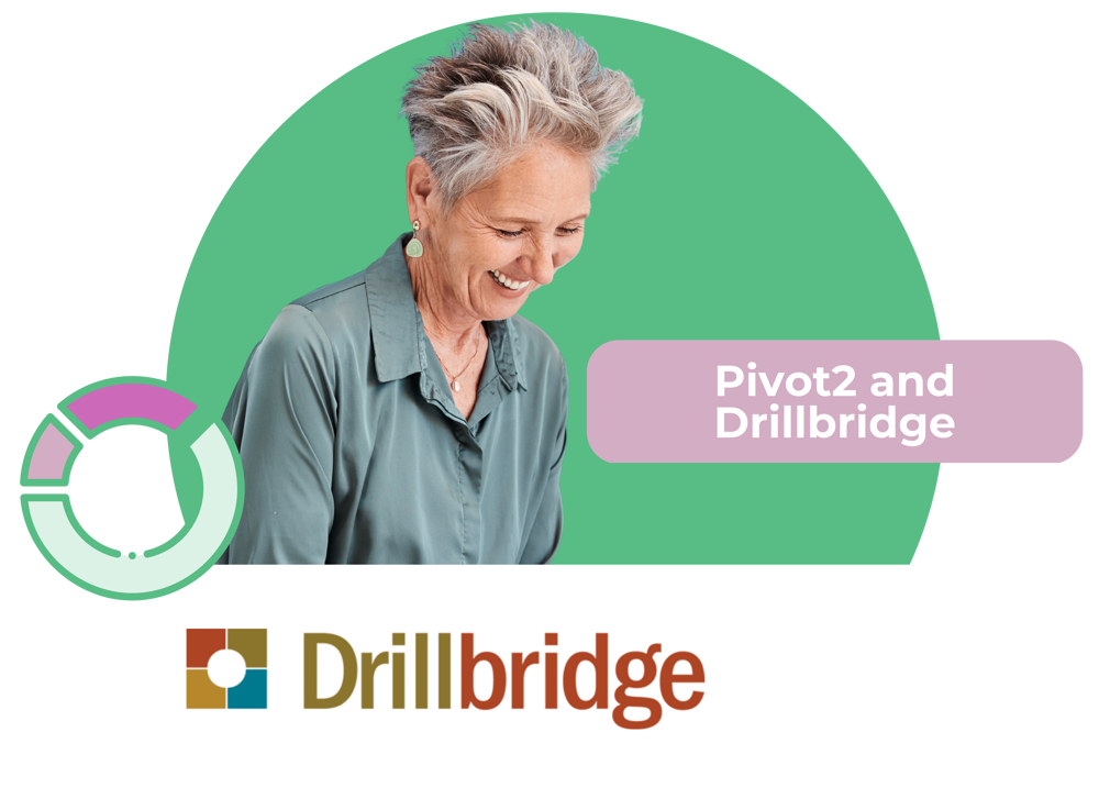 Drillbridge Data and Analytics — Pivot2 Solutions