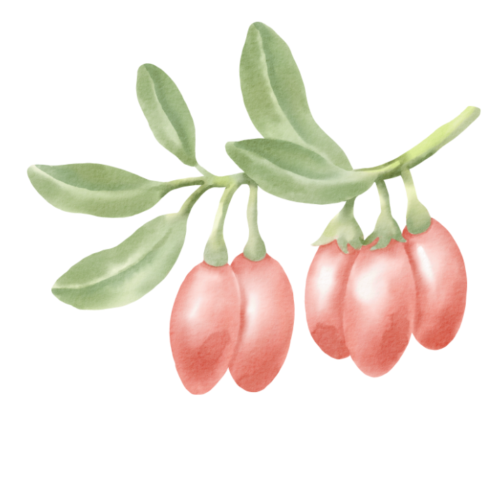 Goat Nipple Berries: History, Cultivation, and Unique Flavor Profile ...