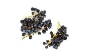 What are IFG Grapes? — MurrayFamilyFarms