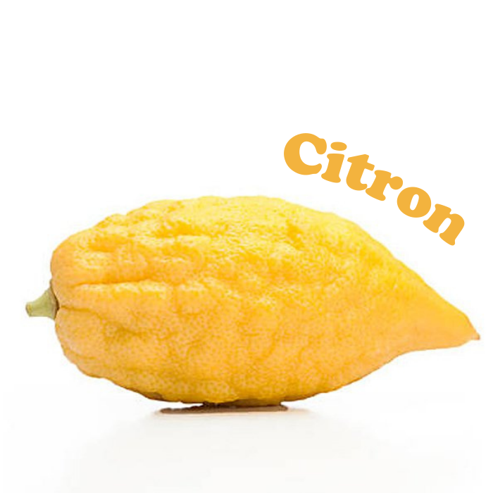 Fascinating Buddha’s Hand Citron | History, Uses, and Growing Practices ...