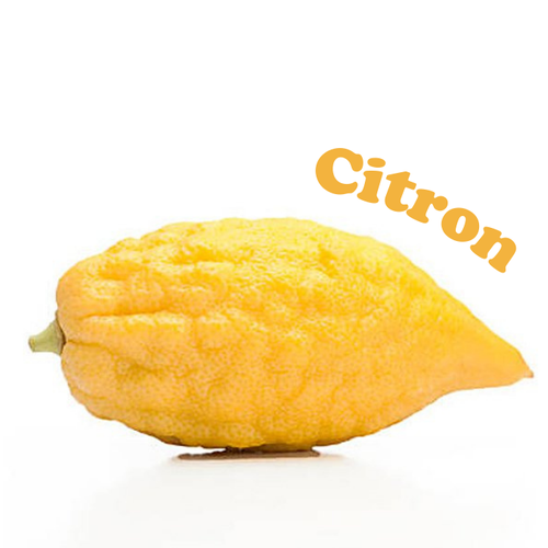 Fascinating Buddha’s Hand Citron | History, Uses, and Growing Practices ...