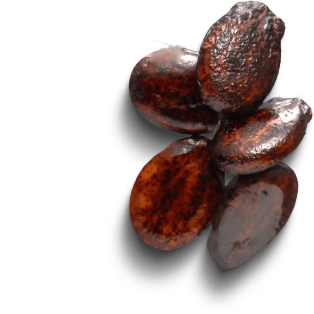 All About Watermelon | History, Fun Facts, and Growing Practices ...